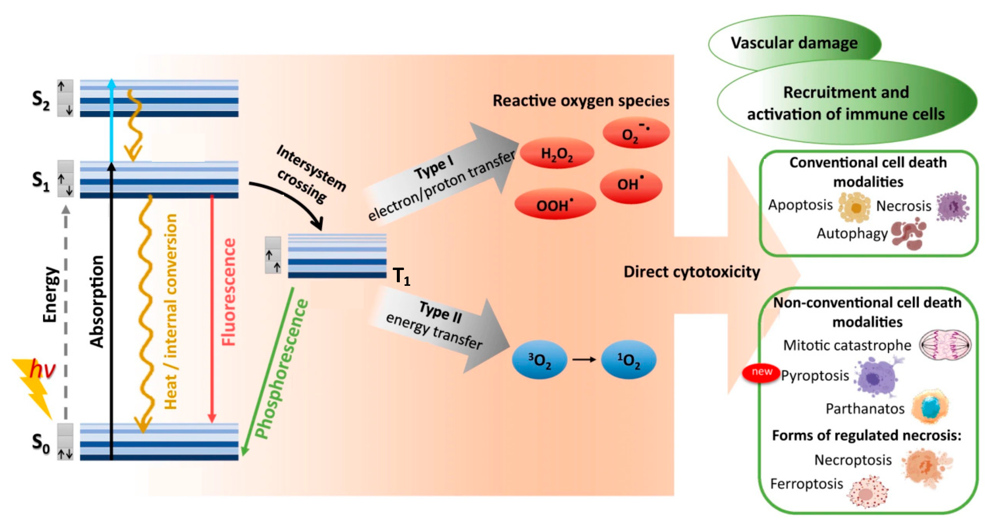 Nanomaterials Free Full Text X ray Activated Nanoplatforms For Deep Nanomaterials Free Full Text X ray Activated Nanoplatforms For Deep