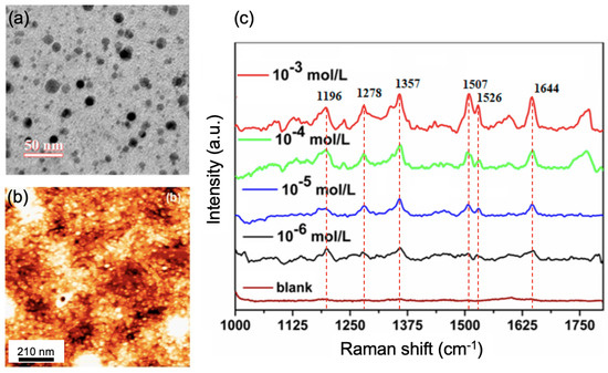 Advances in Surface-Enhanced Raman Scattering Sensors of Pollutants in ...