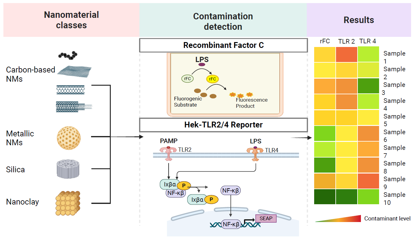 Detection of Microbial Contamination in Nanomaterials Using LAL, rFC ...