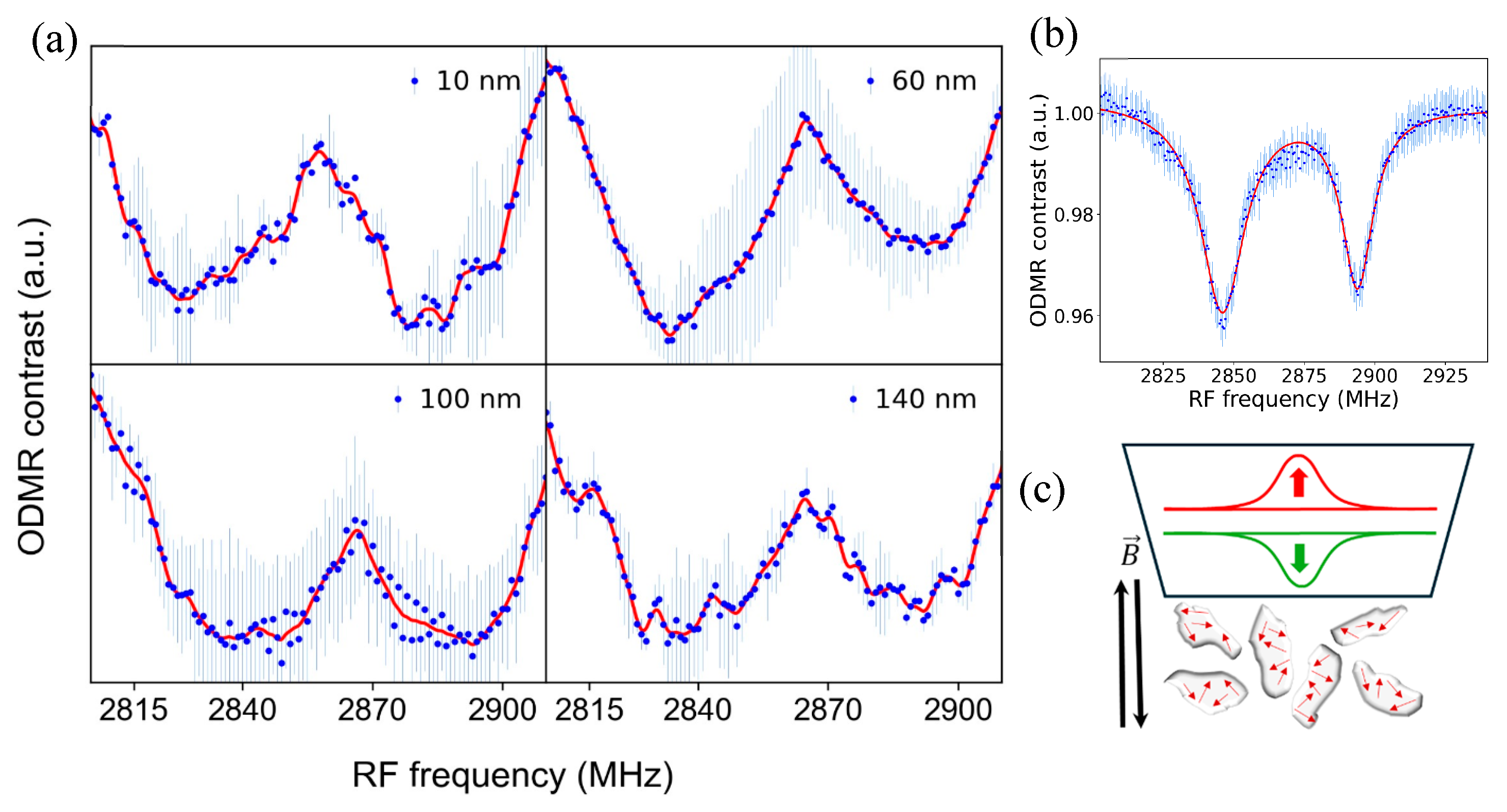 Toward Subcellular Action Potential Detection with Nanodiamond Quantum ...