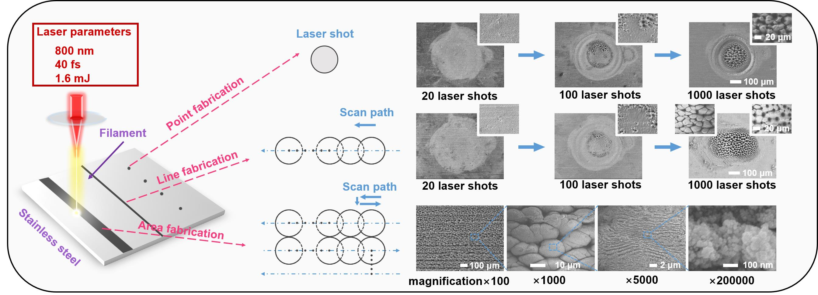 Formation Mechanisms of Micro-Nano Structures on Steels by Strong-Field ...