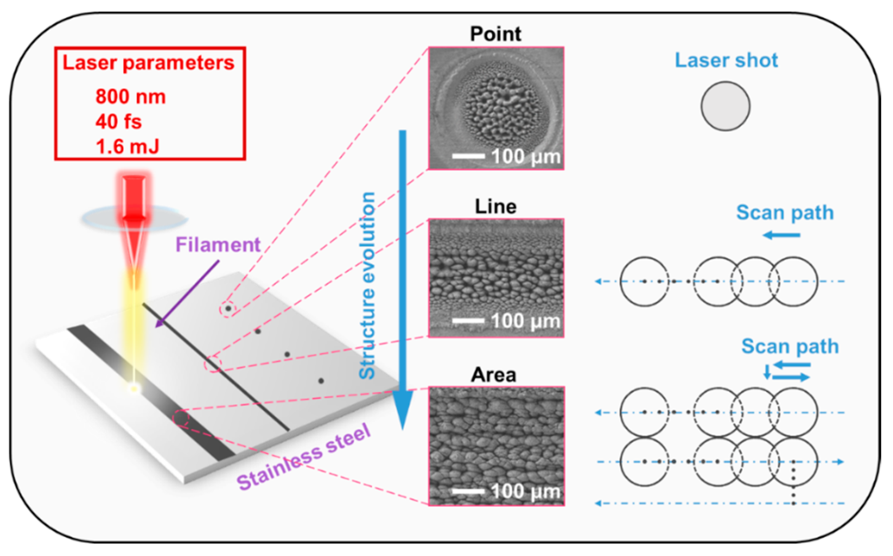 Formation Mechanisms of Micro-Nano Structures on Steels by Strong-Field ...