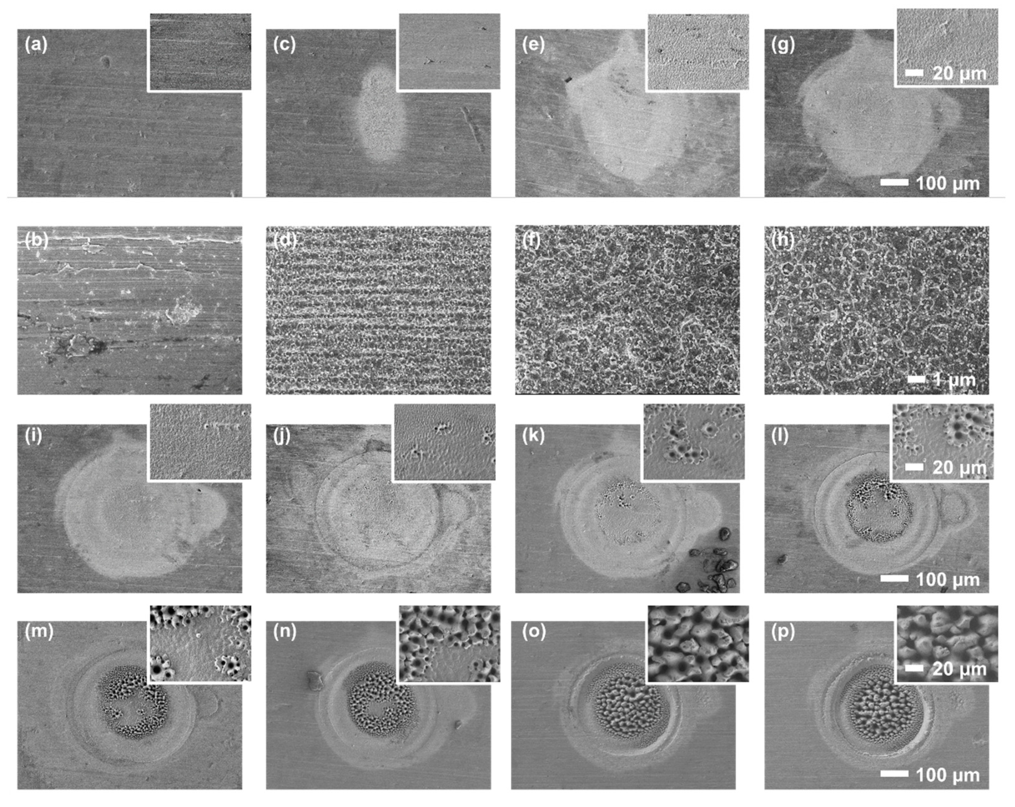 Formation Mechanisms of Micro-Nano Structures on Steels by Strong-Field ...