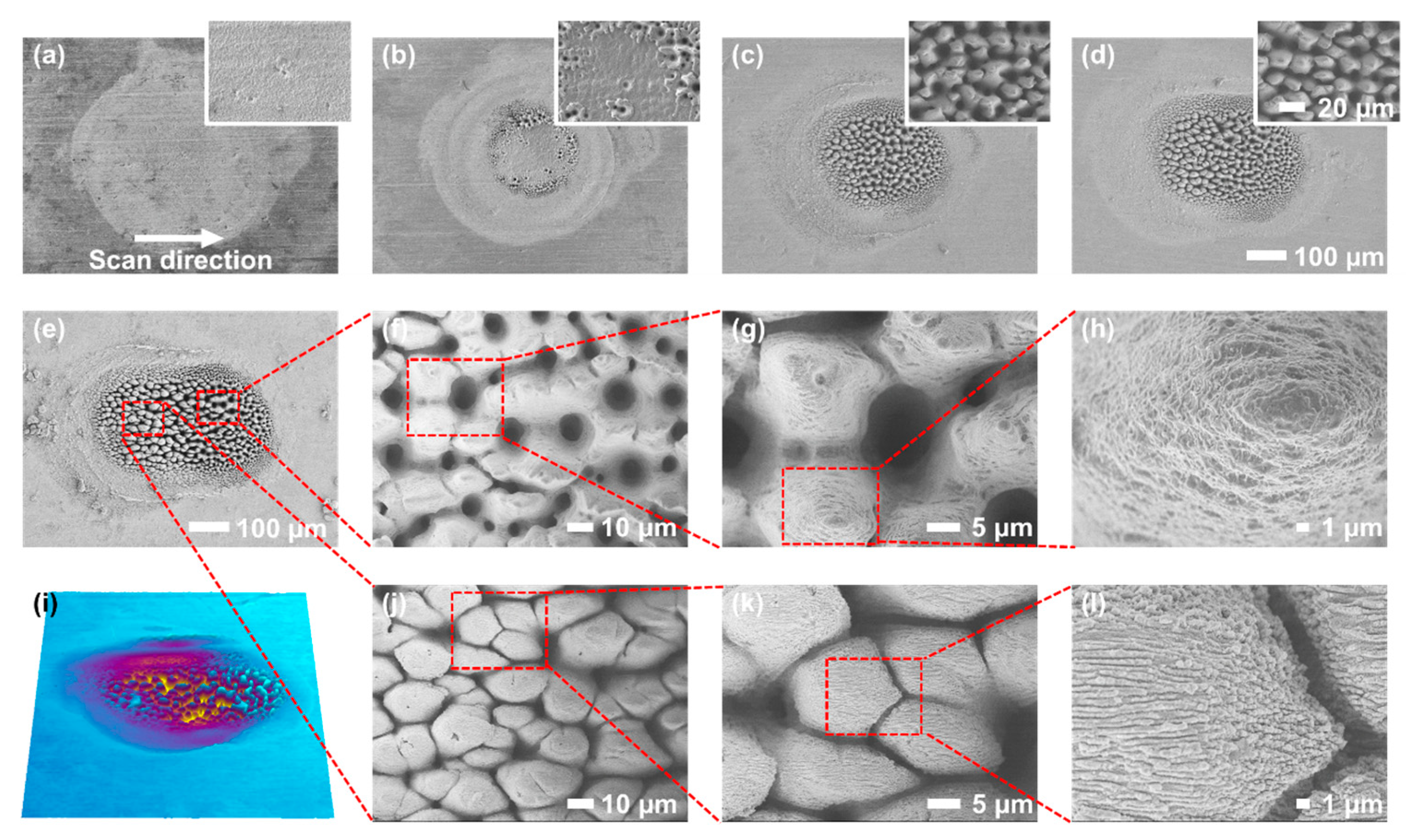 Formation Mechanisms of Micro-Nano Structures on Steels by Strong-Field ...