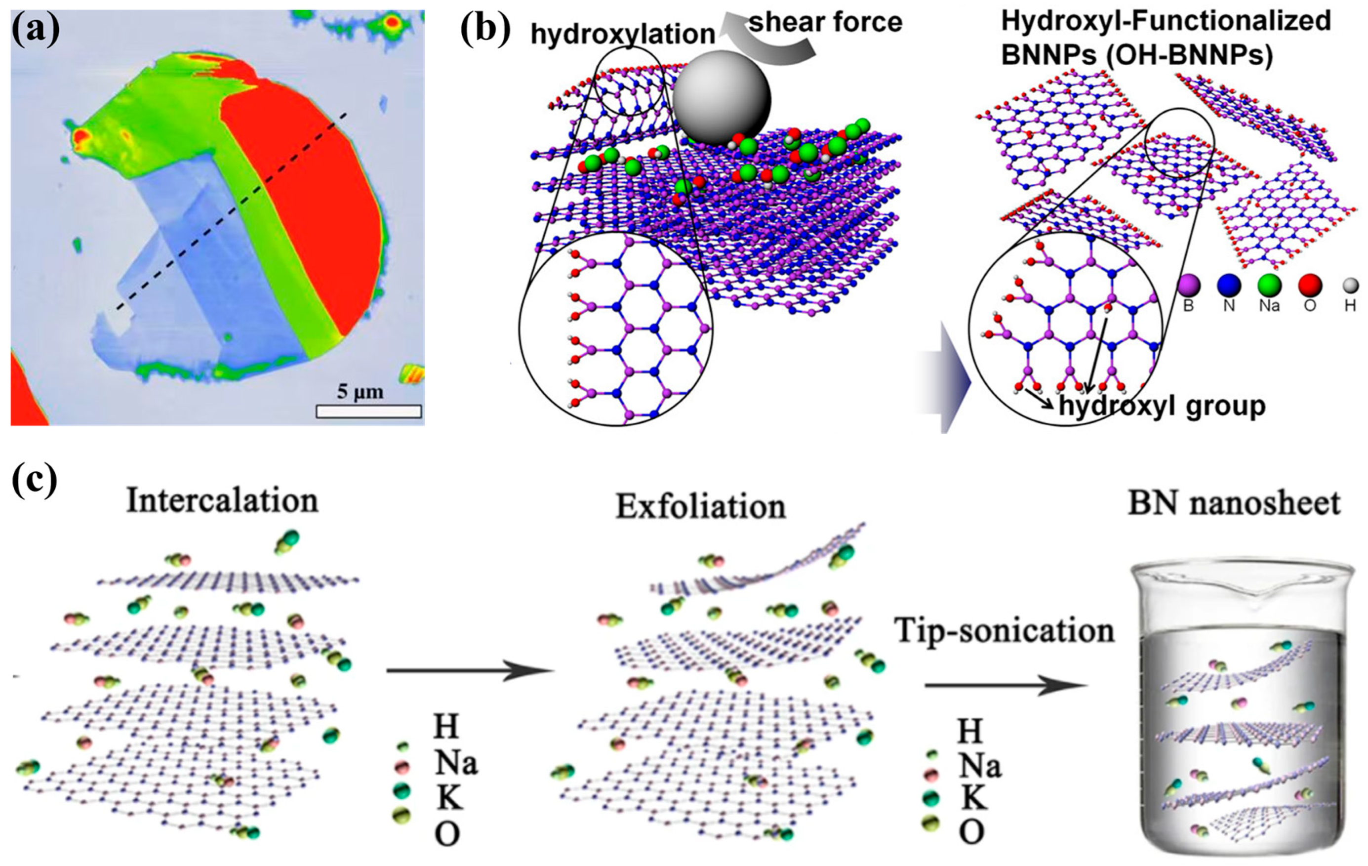 Hexagonal Boron Nitride Nanosheets: Properties, Preparation and ...