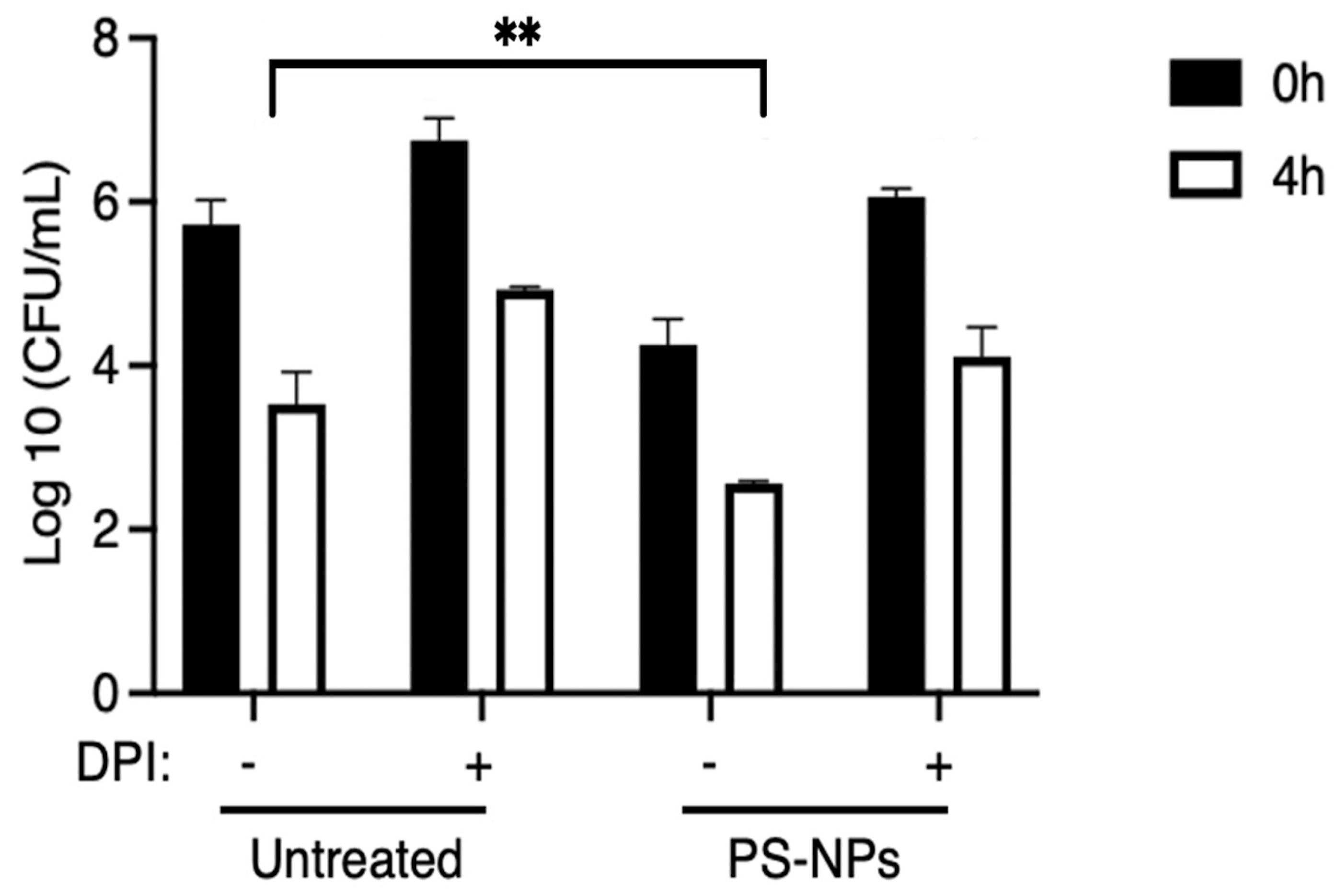 Polystyrene Nanoplastics Increase Macrophage Bactericidal Activity ...