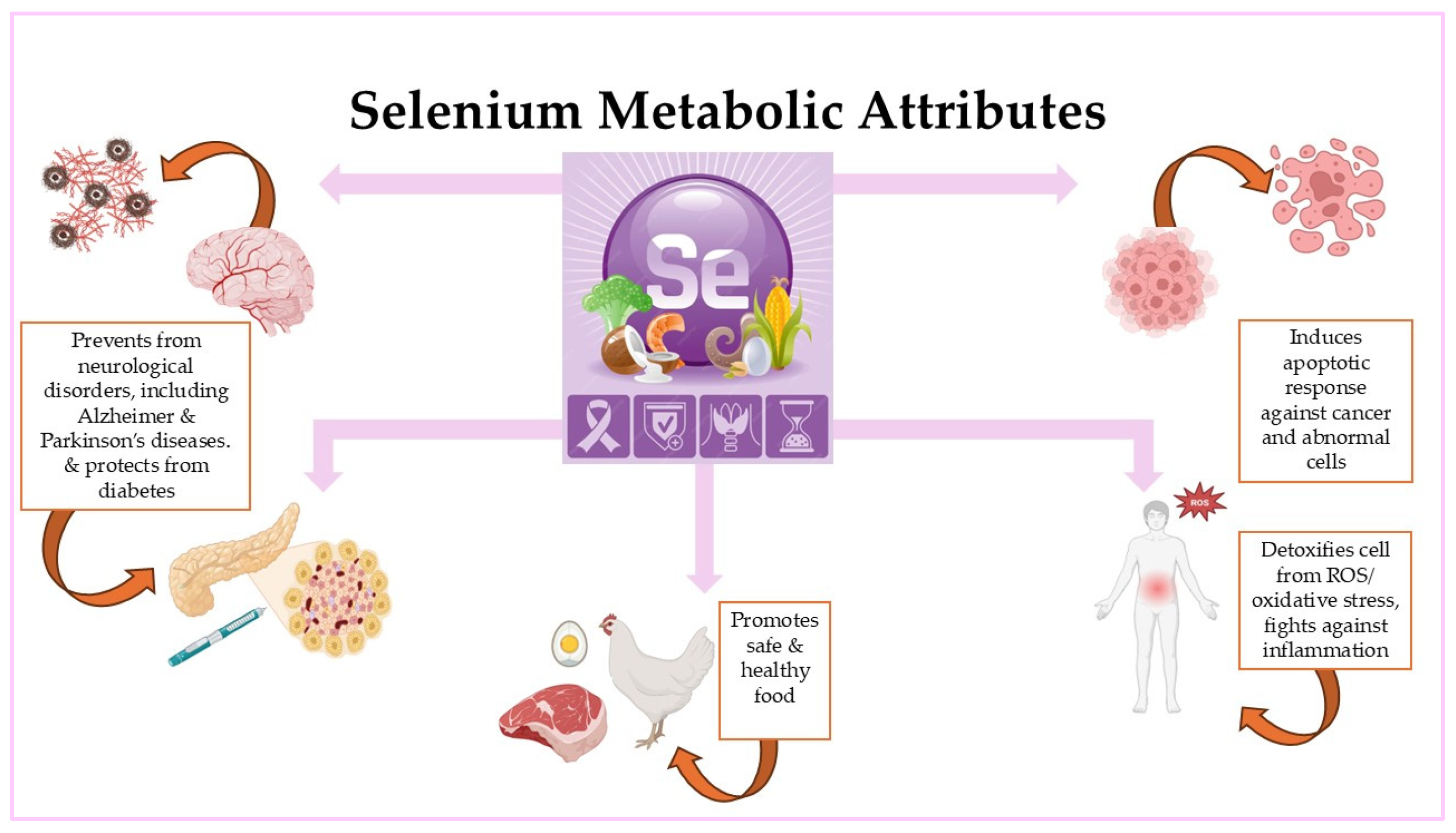 Applications of Nano-Selenium in the Poultry Industry: An Overview