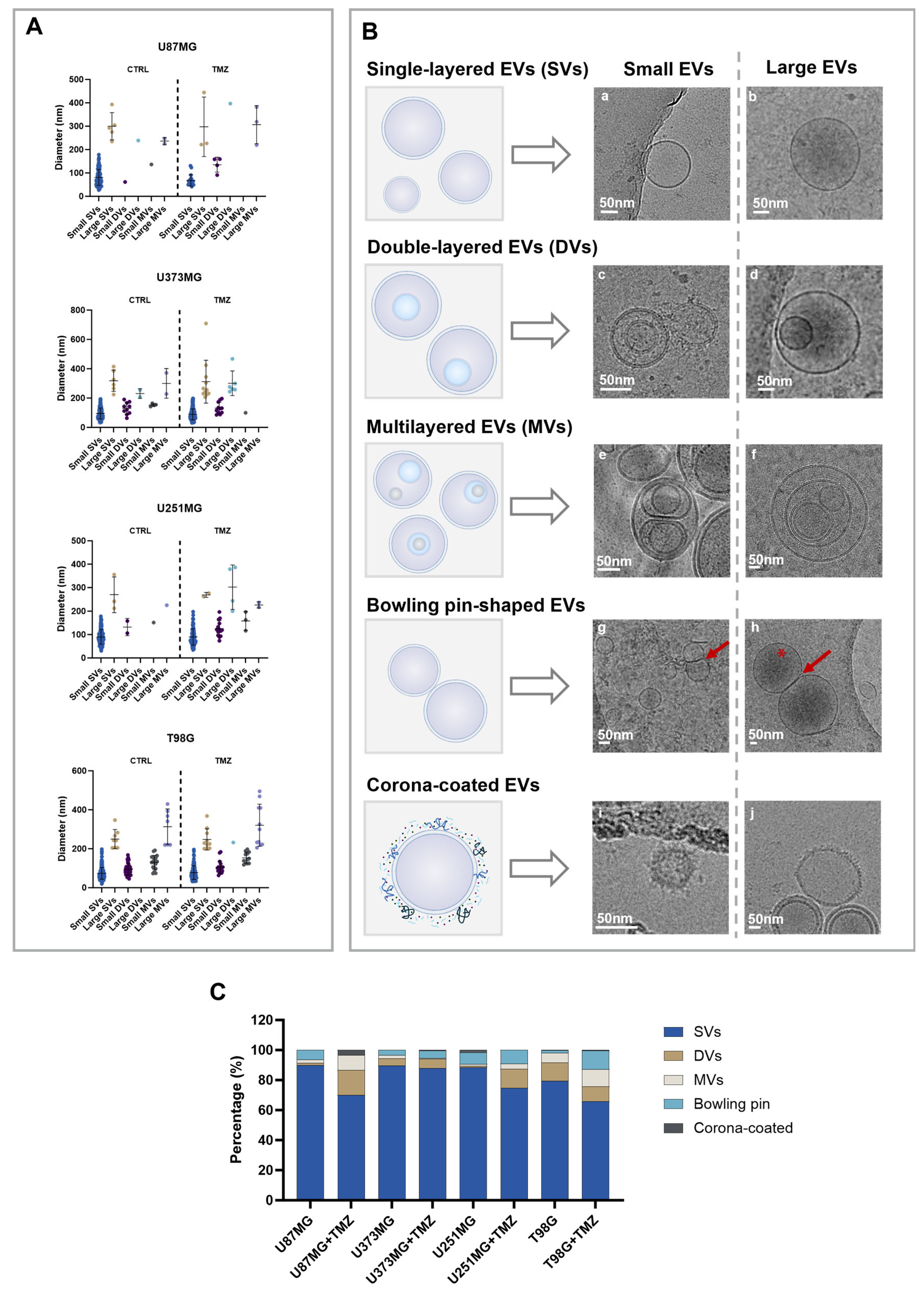 Cryogenic Electron Microscopy of Extracellular Vesicles from ...