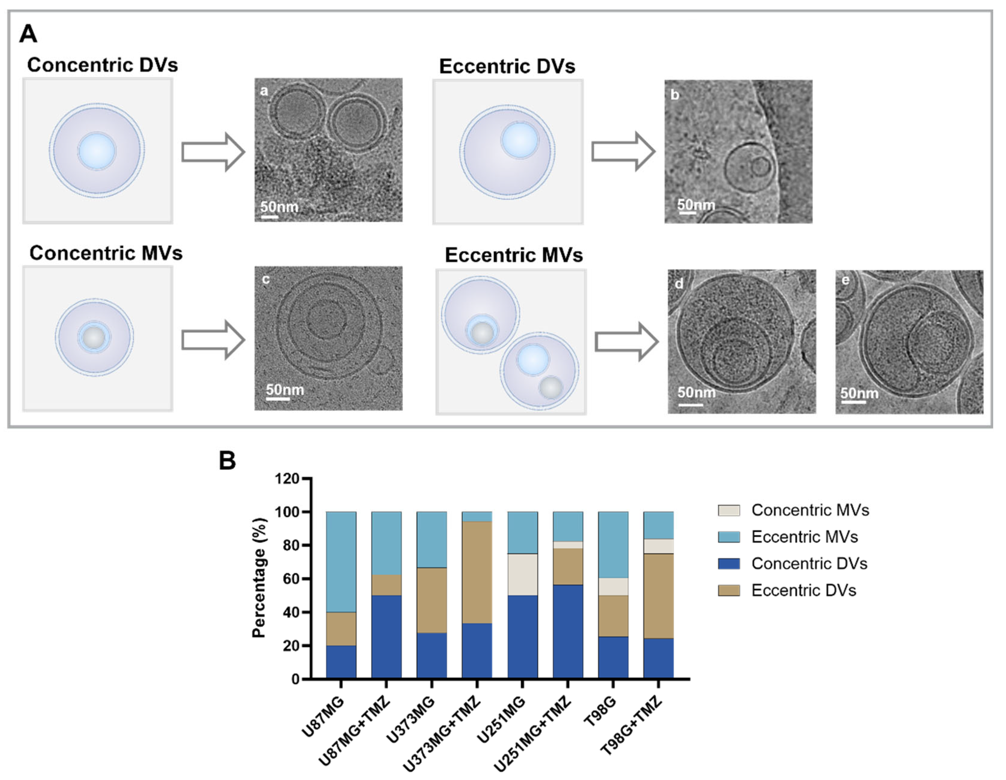 Cryogenic Electron Microscopy of Extracellular Vesicles from ...
