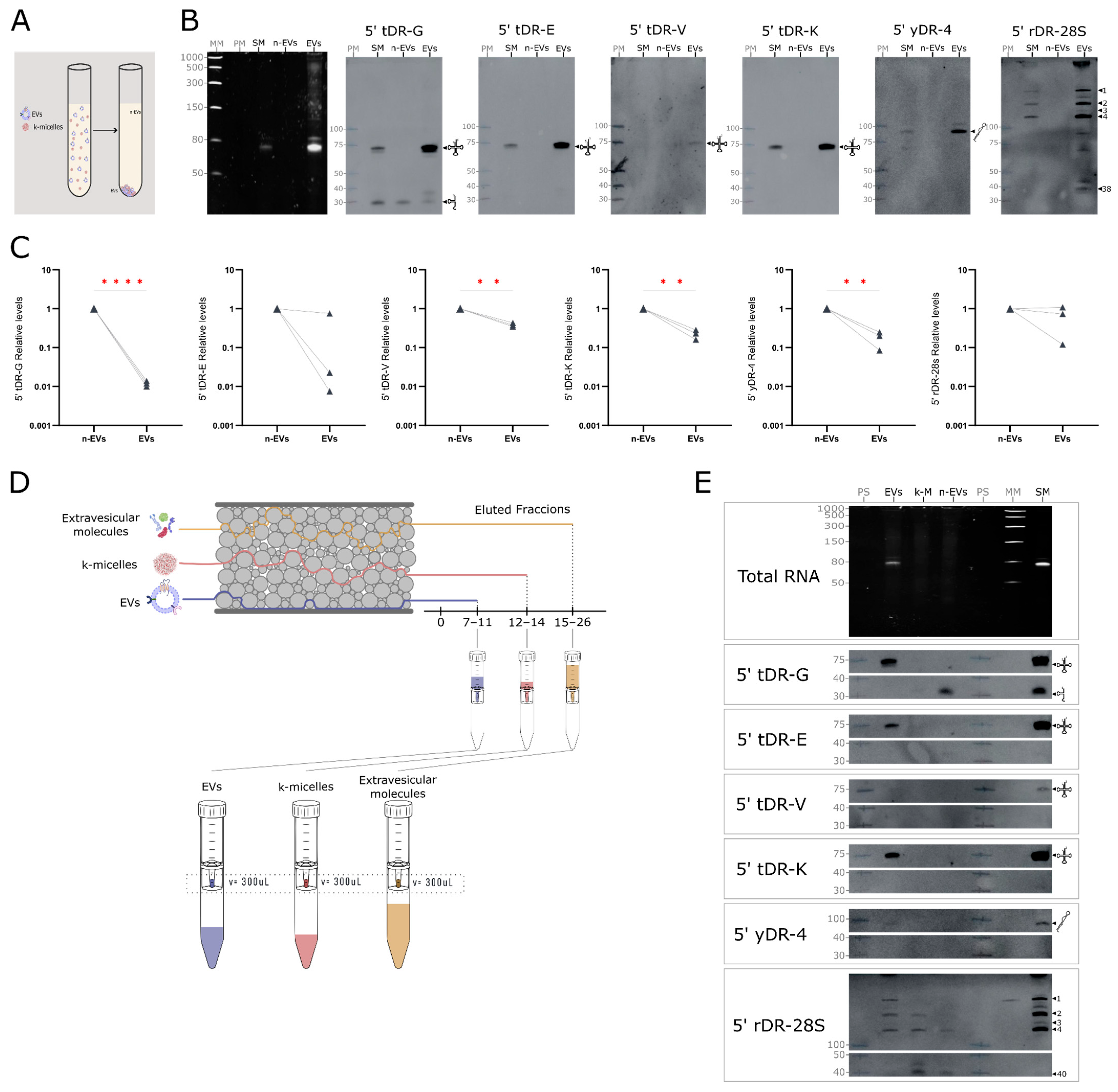 Extracellular Small RNAs in Human Milk: Molecular Profiles, Stability ...