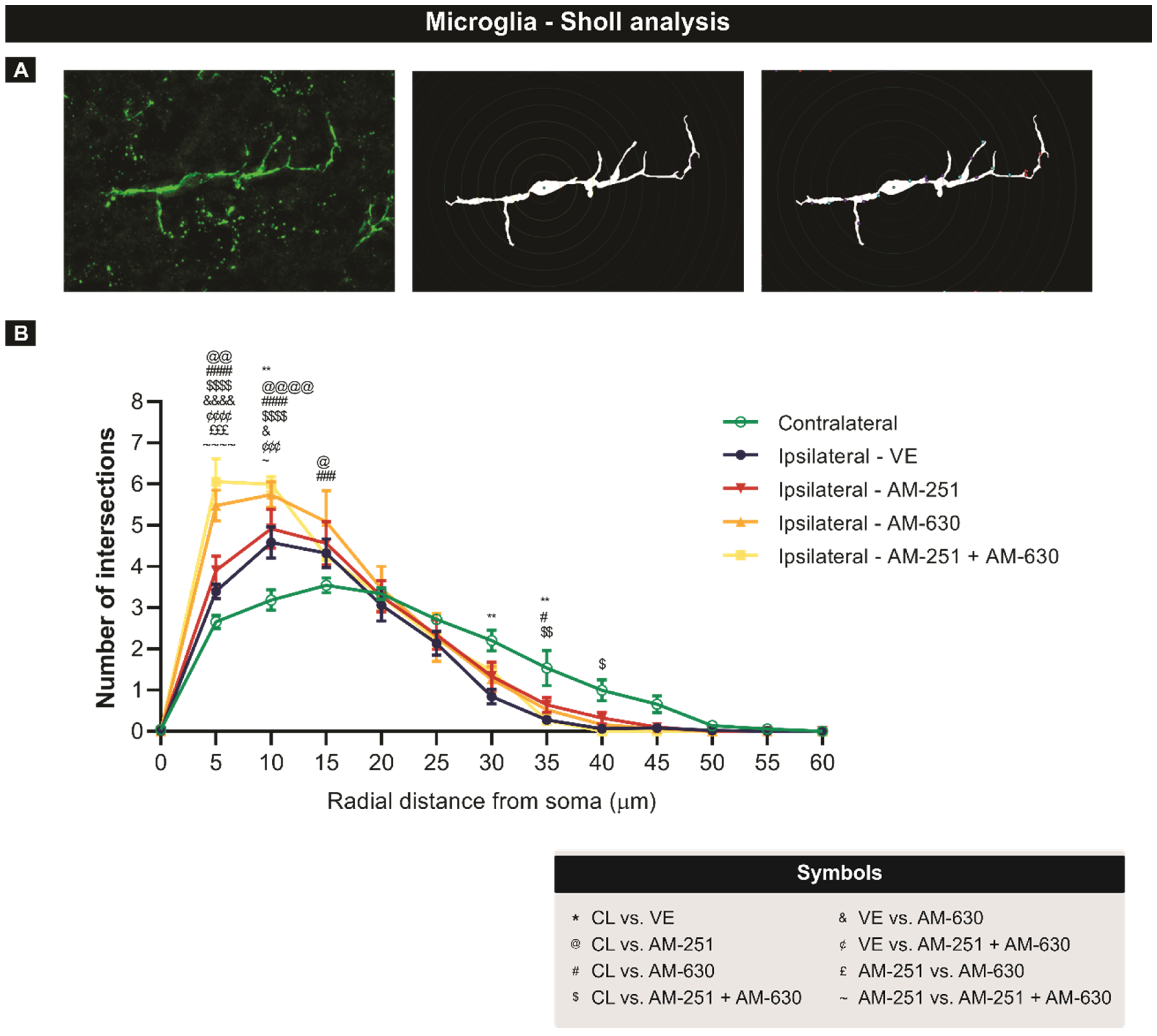 Endocannabinoid System Modulates Glial Responses and Motoneuron ...