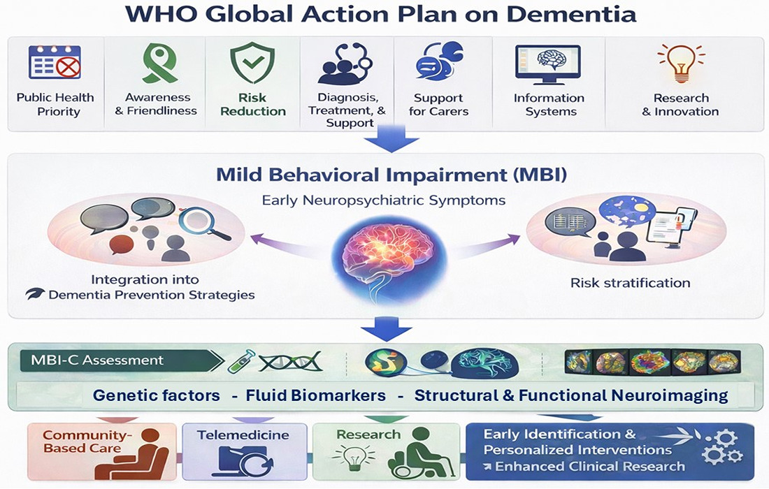 Reframing Dementia Prevention Strategies Aligned with the WHO Global ...