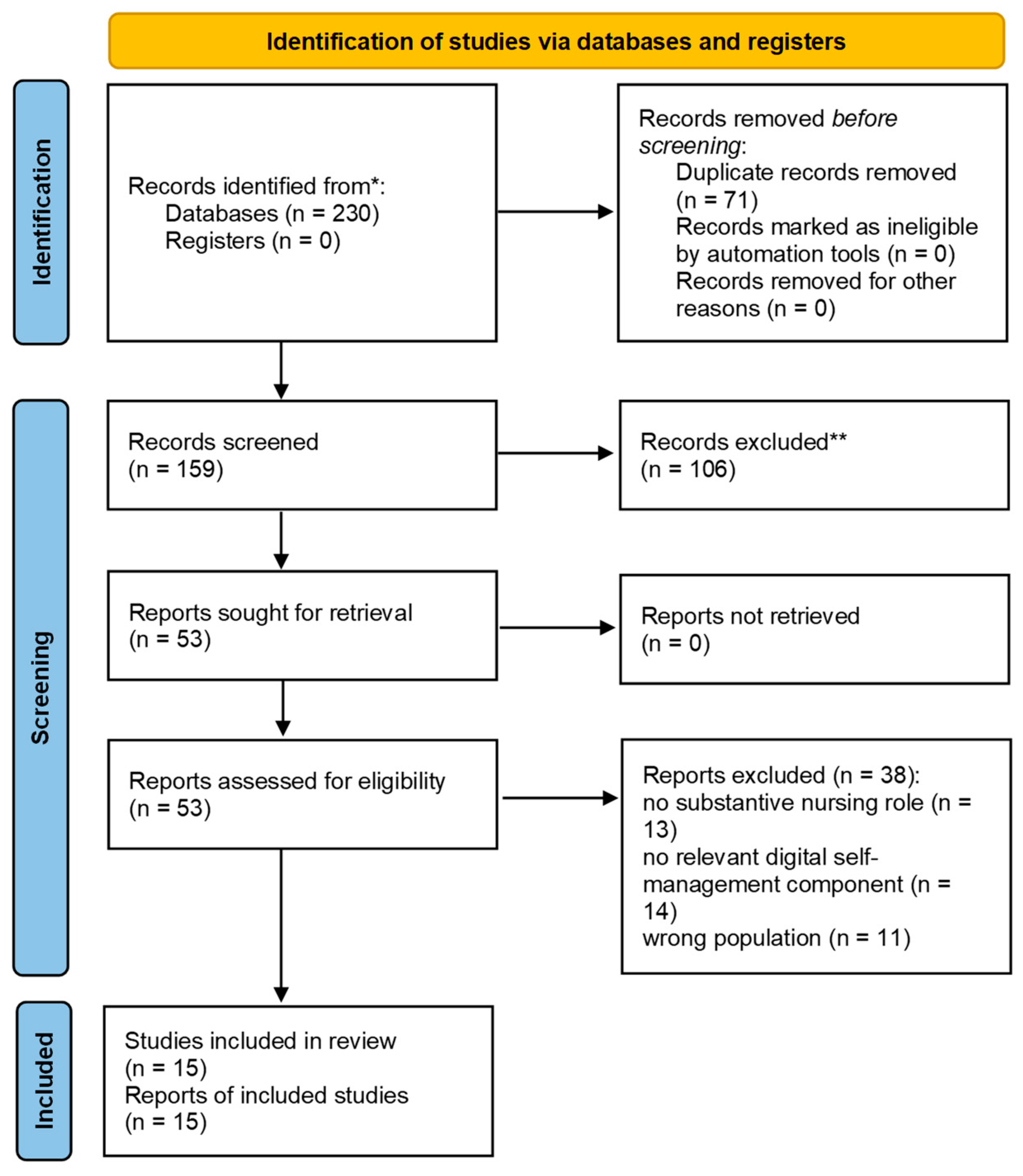 Nurses’ Roles in Supporting Digital Engagement and Self-Management in ...