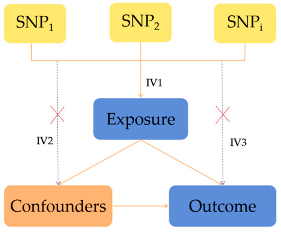 Nutrients | Free Full-Text | Mineral Nutrition and the Risk of Chronic ...