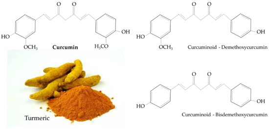 Antidiabetic Properties of Curcumin II: Evidence from In Vivo Studies