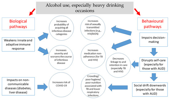 Nutrients Free Full Text Alcohol Use And The Risk Of Communicable Nutrients Free Full Text Alcohol Use And The Risk Of Communicable