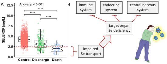 Selenium Deficiency in COVID-19—A Possible Long-Lasting Toxic Relationship