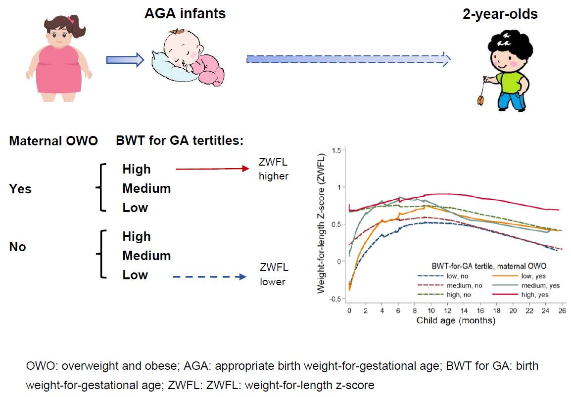 Maternal Pre Pregnancy Nutritional Status And Infant Birth Weight In Maternal Pre Pregnancy Nutritional Status And Infant Birth Weight In