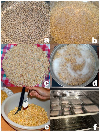 Soy-Based Tempeh Rich in Paraprobiotics Properties as Functional Sports ...