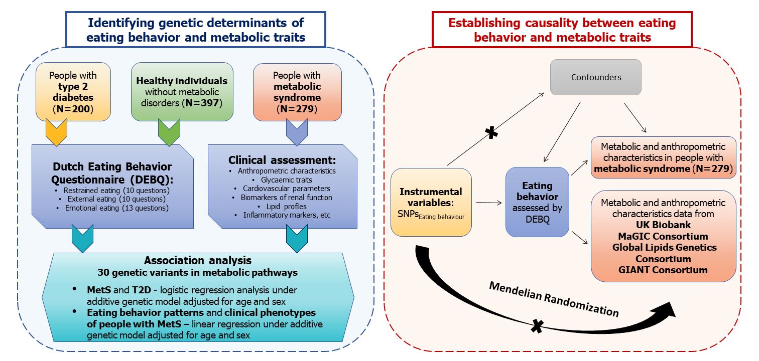 Nutrients | Free Full-Text | Mendelian Randomization Analysis ...