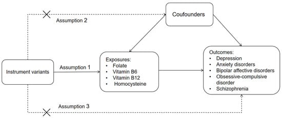 Nutrients Free Full Text Exploring The Association Between Serum B