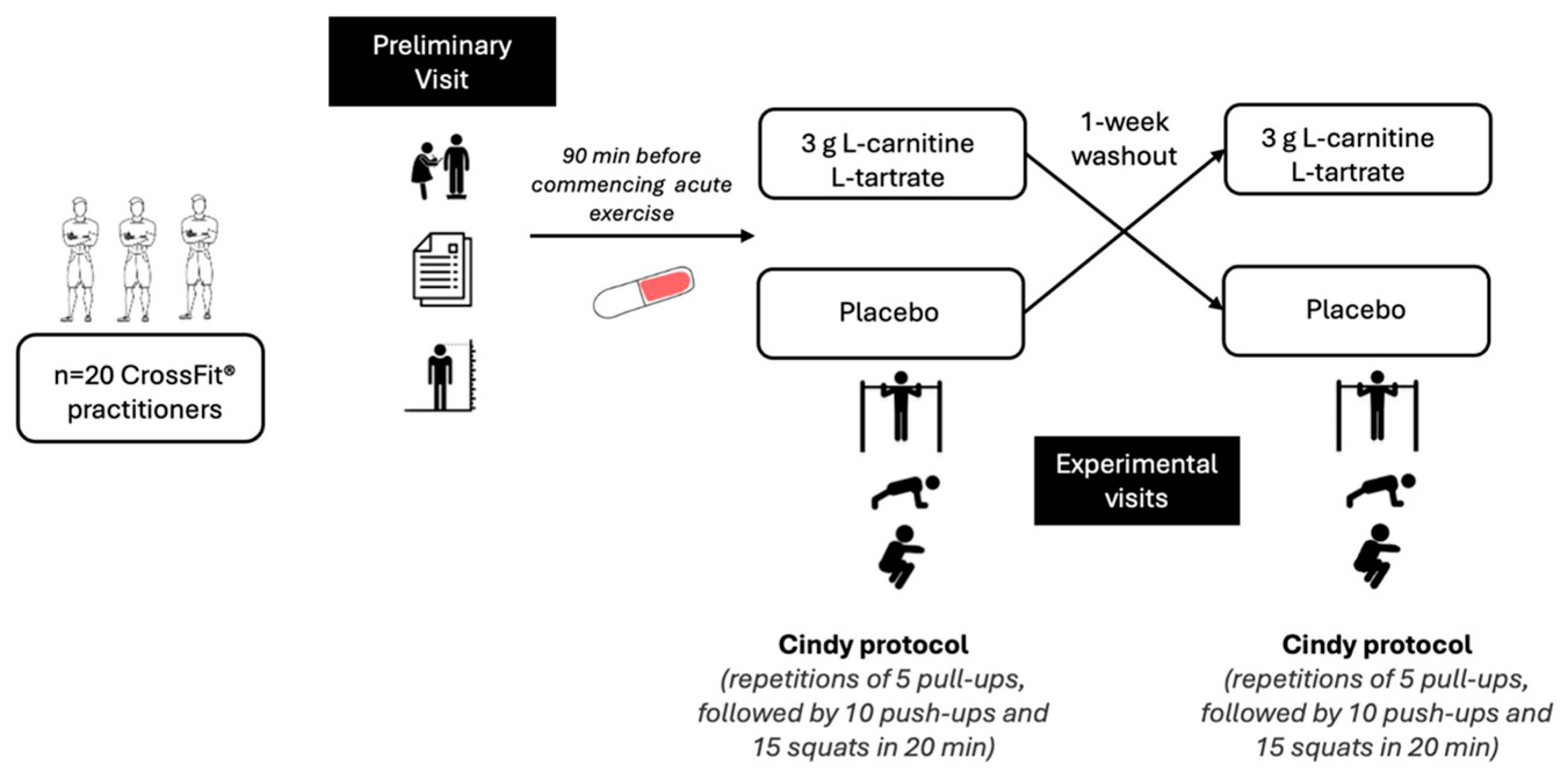Acute L-Carnitine Supplementation Does Not Improve CrossFit® Performance: A Randomized, Double ...