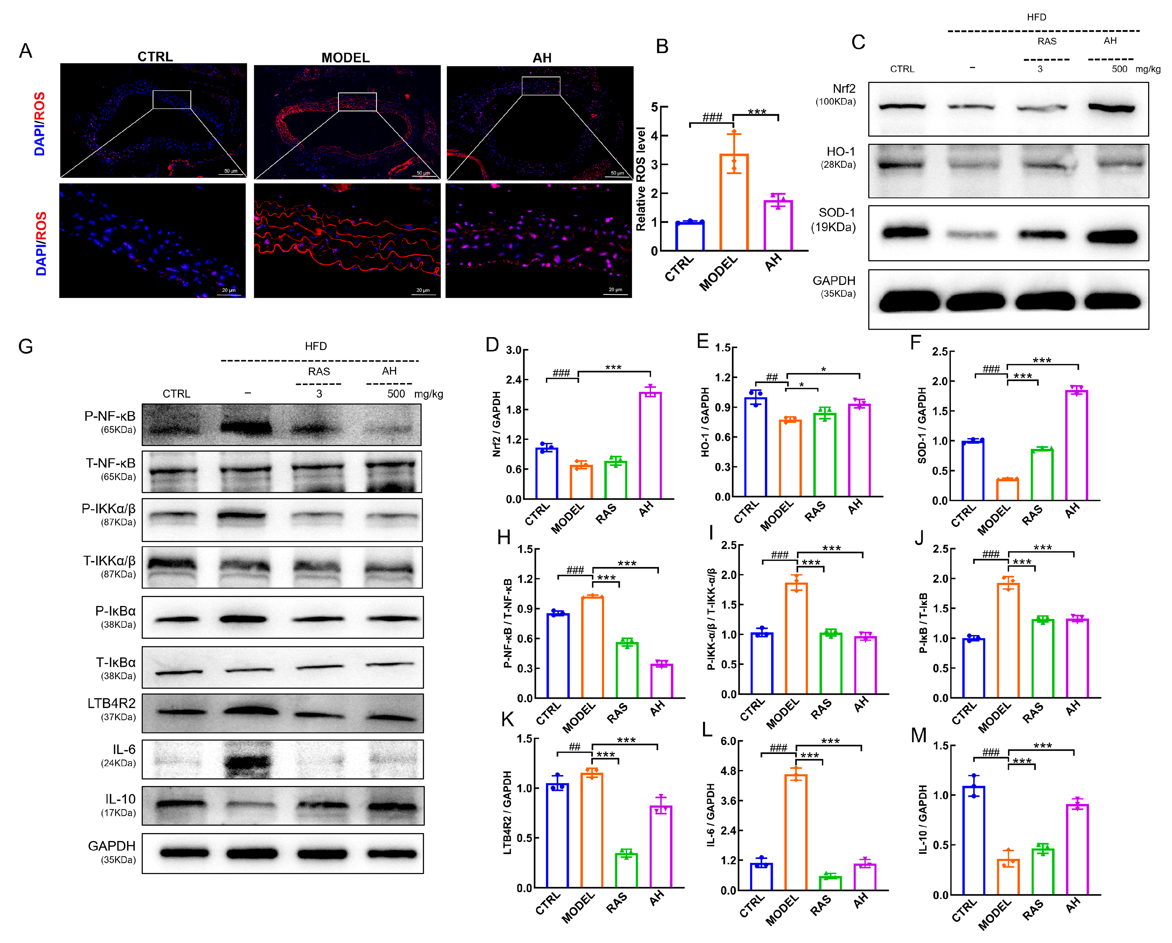 Auricularia heimuer Ameliorates Oxidative Stress and Inflammation to ...