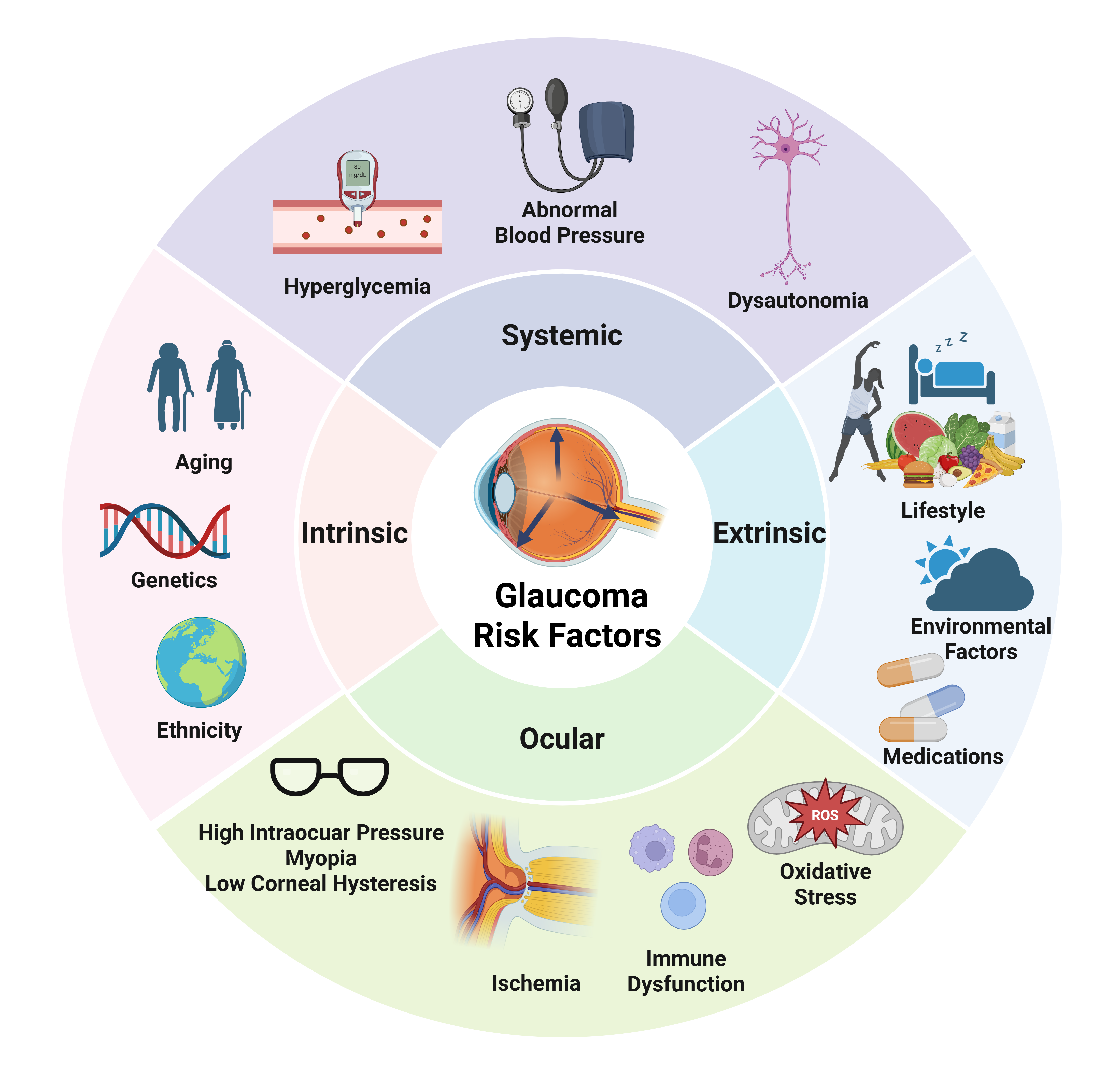 Diet, Exercise, and Lifestyle in Glaucoma: Current Evidence and Future ...