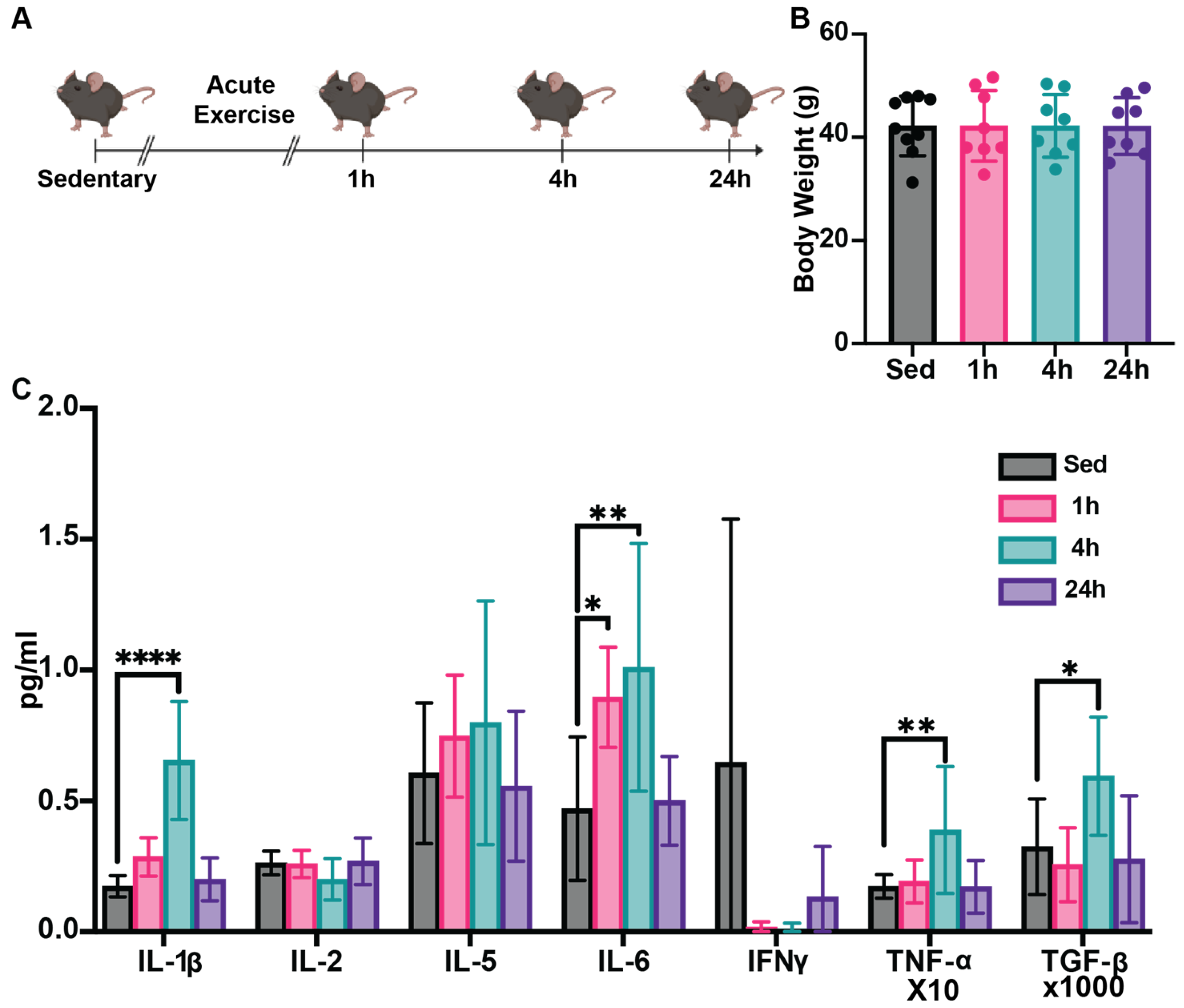 High-Intensity Interval Exercise Drives Vitamin D Receptor Expression ...