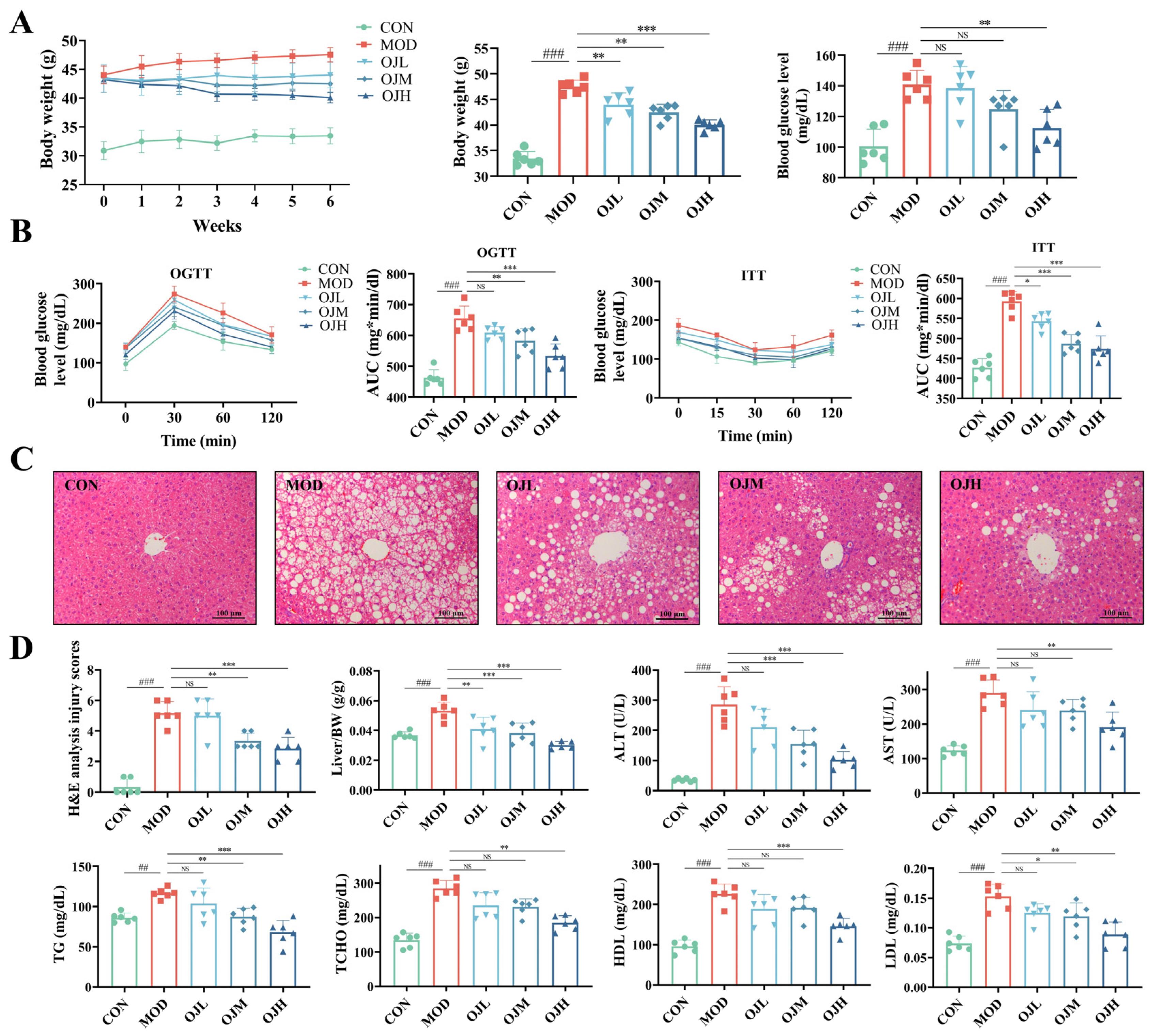 Ophiopogon japonicus Root Extract Attenuates Obesity-Induced Muscle ...