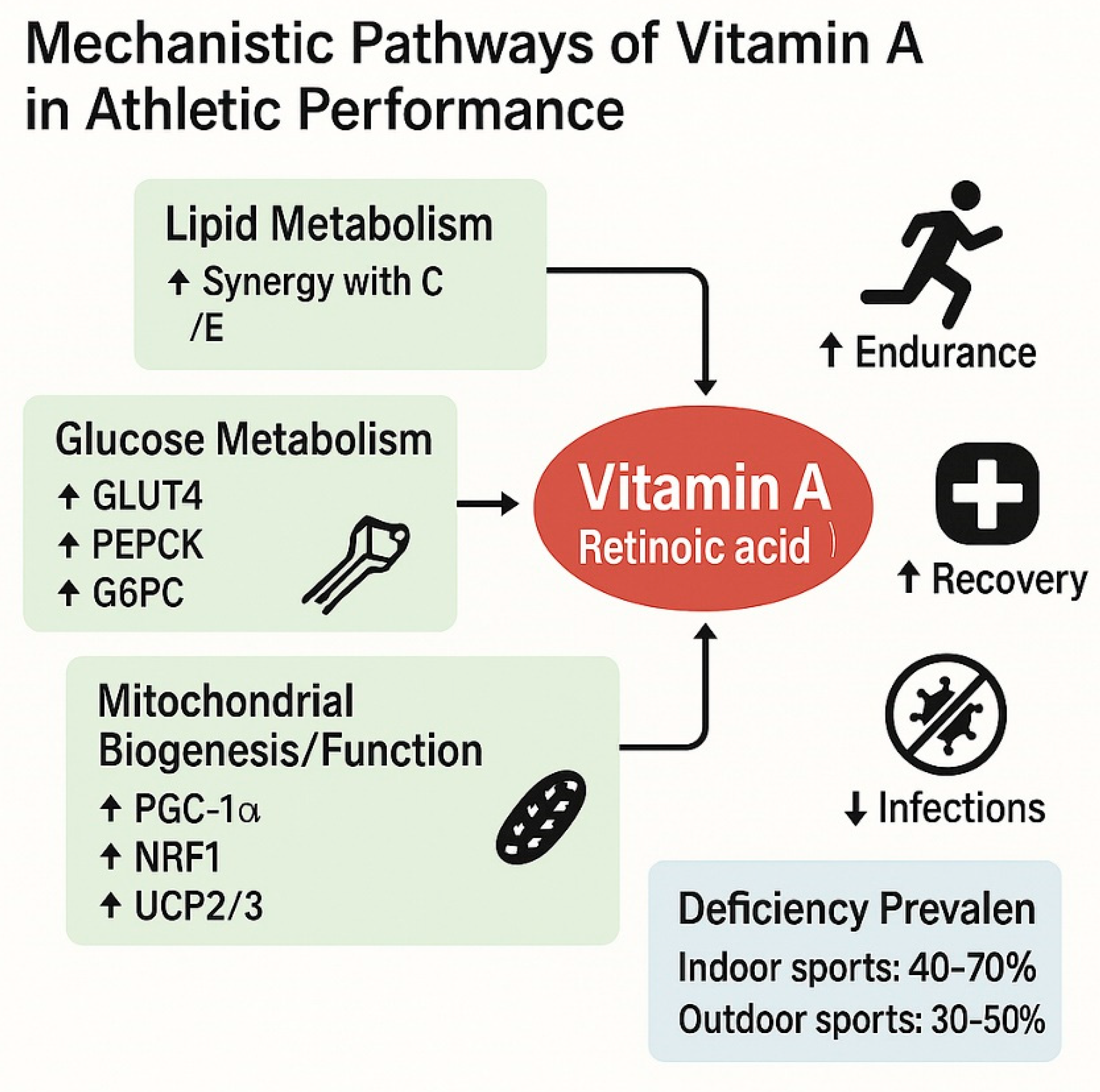 Vitamin Supplementation in Sports: A Decade of Evidence-Based Insights