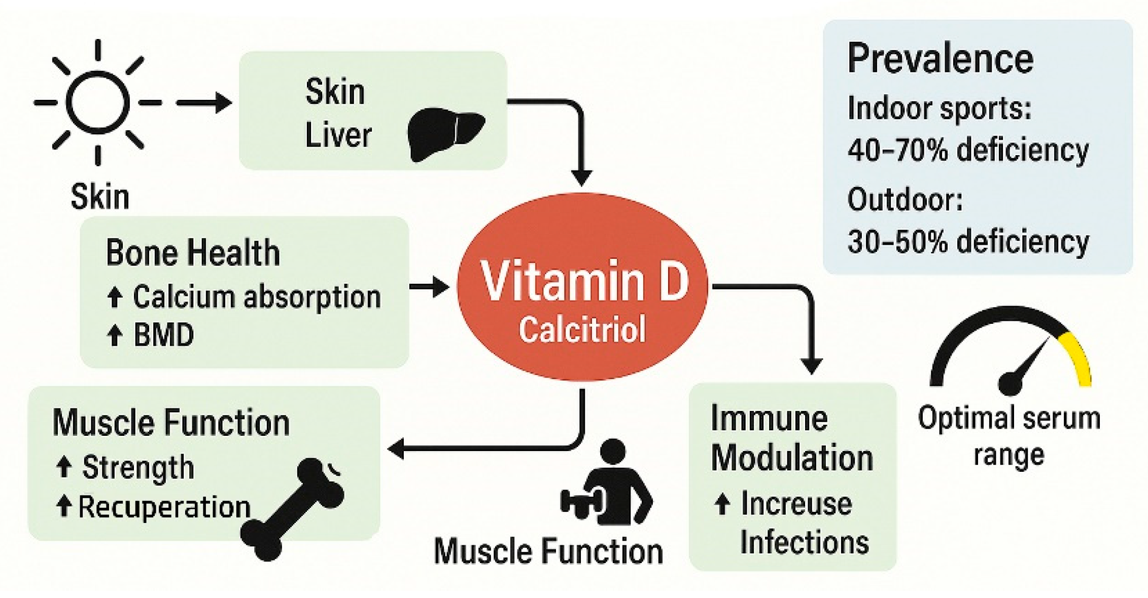 Vitamin Supplementation in Sports: A Decade of Evidence-Based Insights