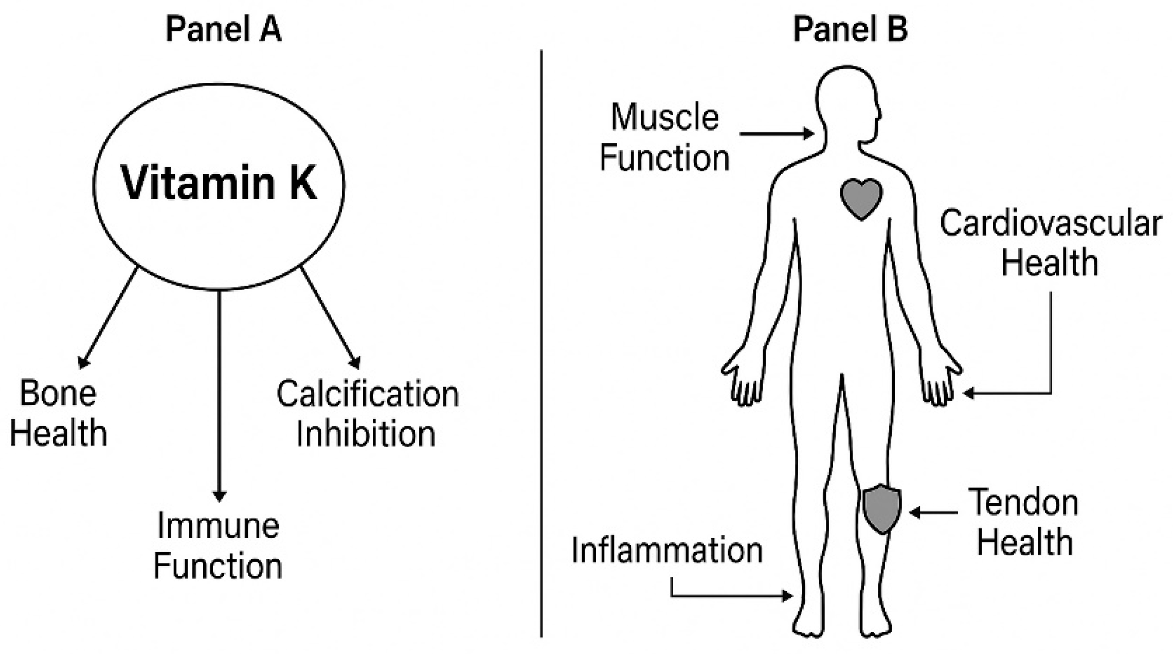 Vitamin Supplementation in Sports: A Decade of Evidence-Based Insights