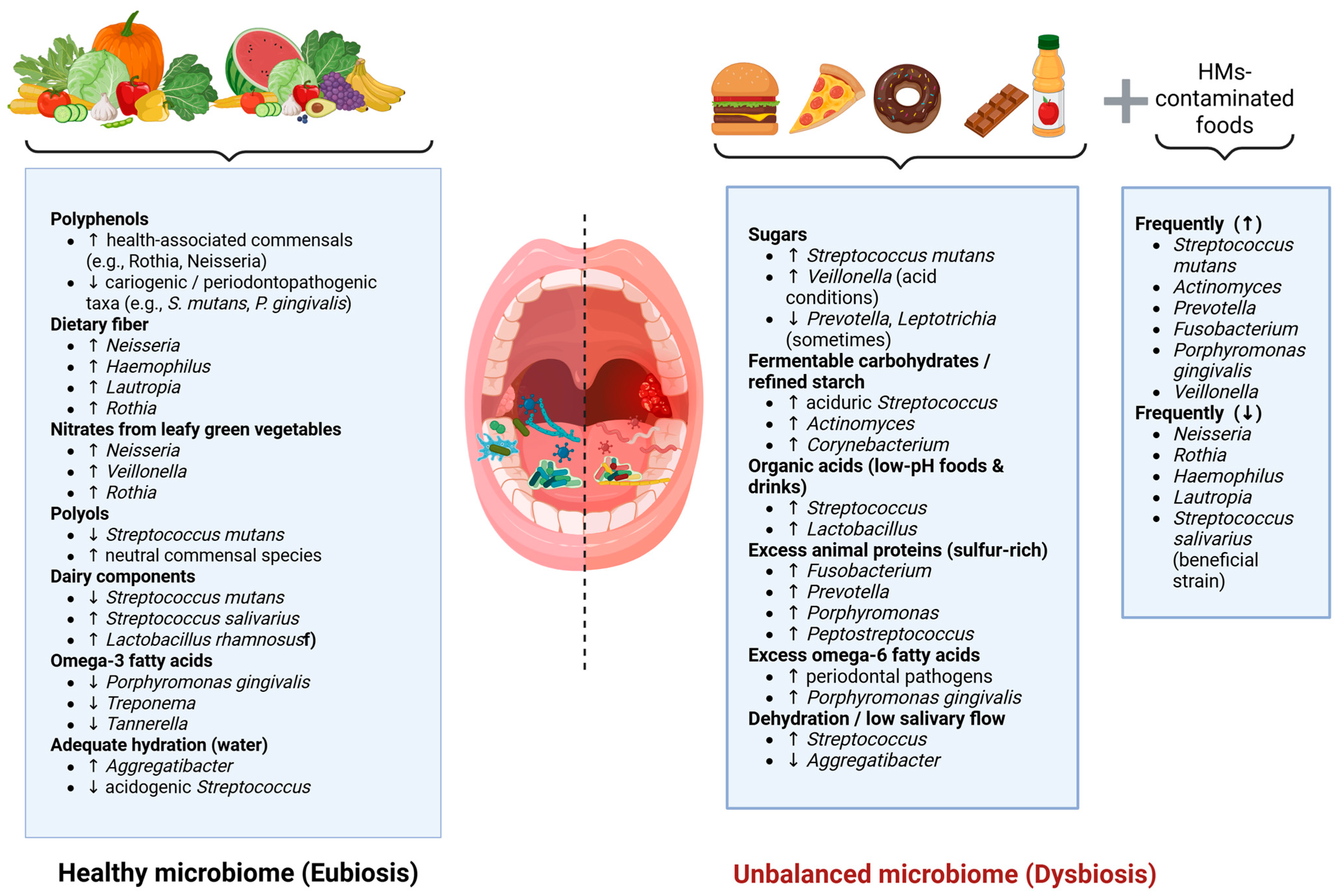Diet–Oral Microbiota Interactions and Salivary Biomarkers of ...