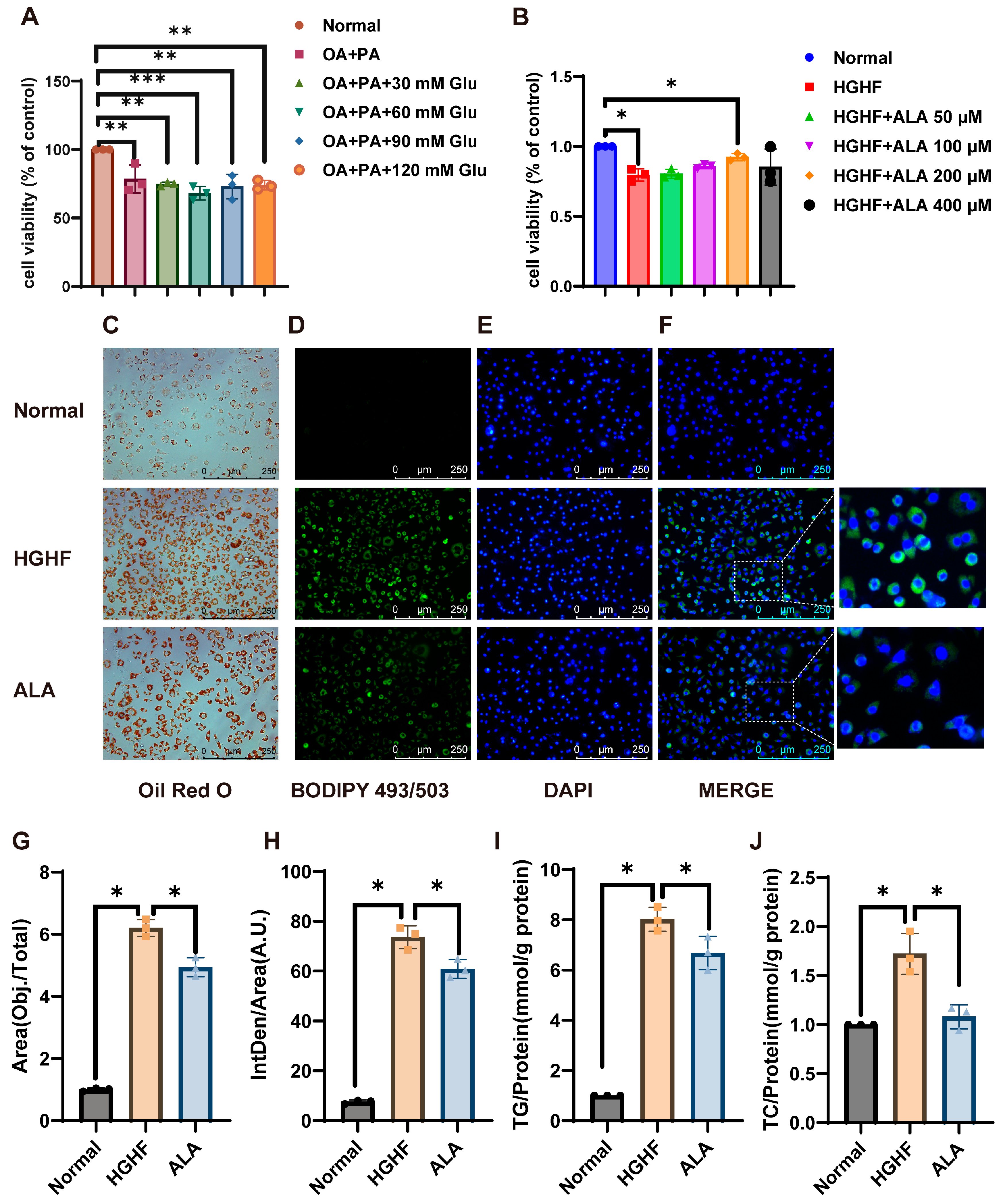 α-Lipoic Acid Alleviates Non-Alcoholic Fatty Liver Disease by Elevating ...