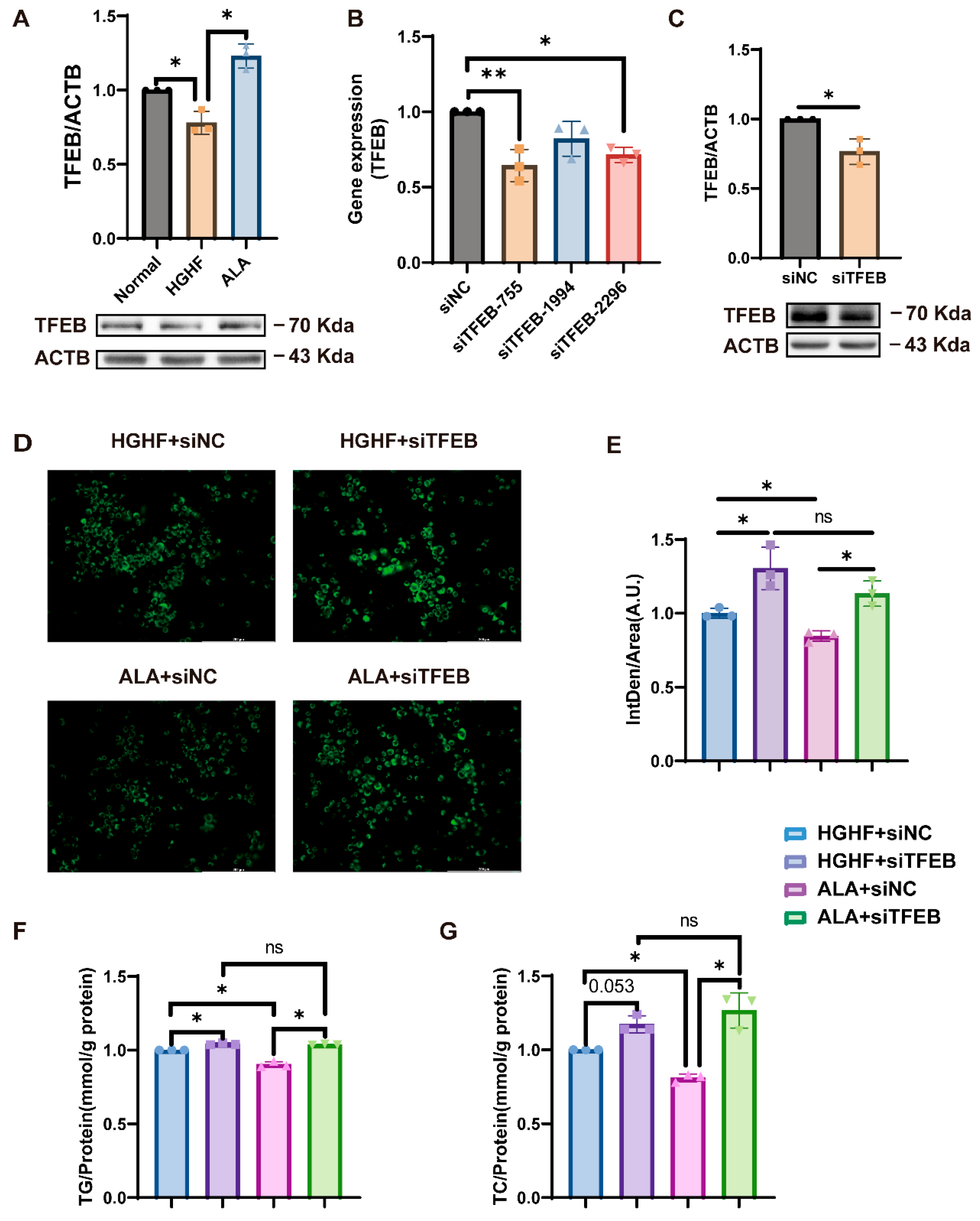 α-Lipoic Acid Alleviates Non-Alcoholic Fatty Liver Disease by Elevating ...
