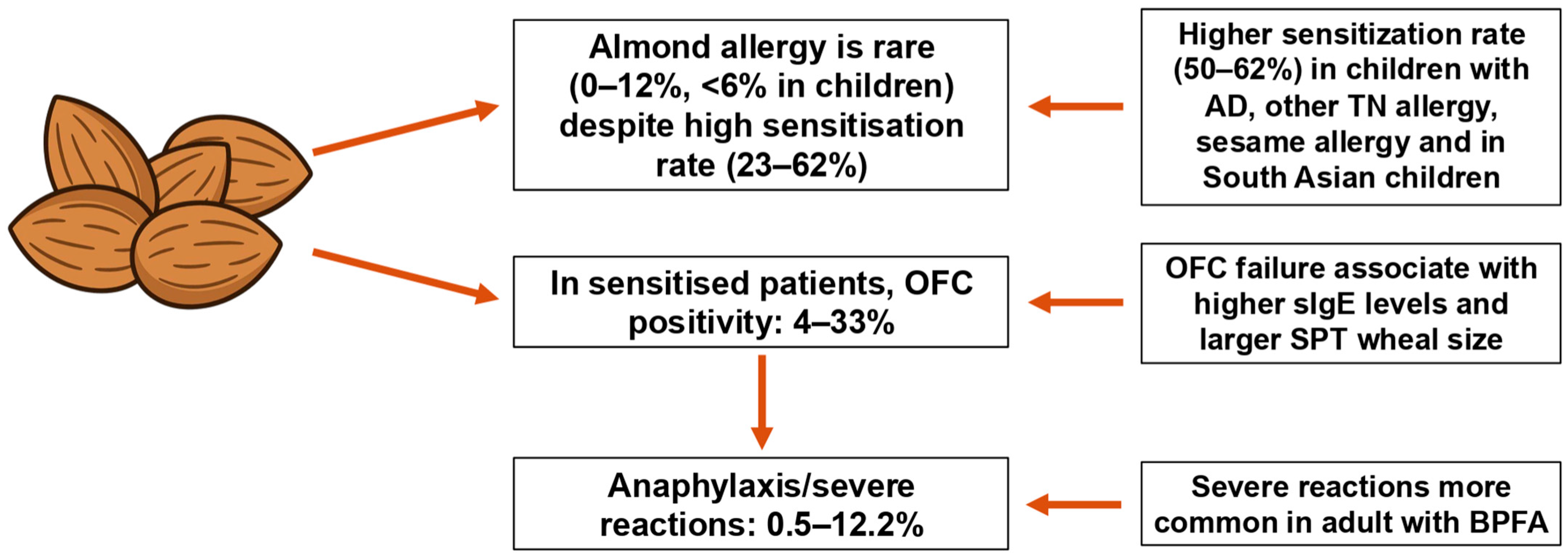 Almond Allergy in Children and Adults: A Narrative Review of Current ...