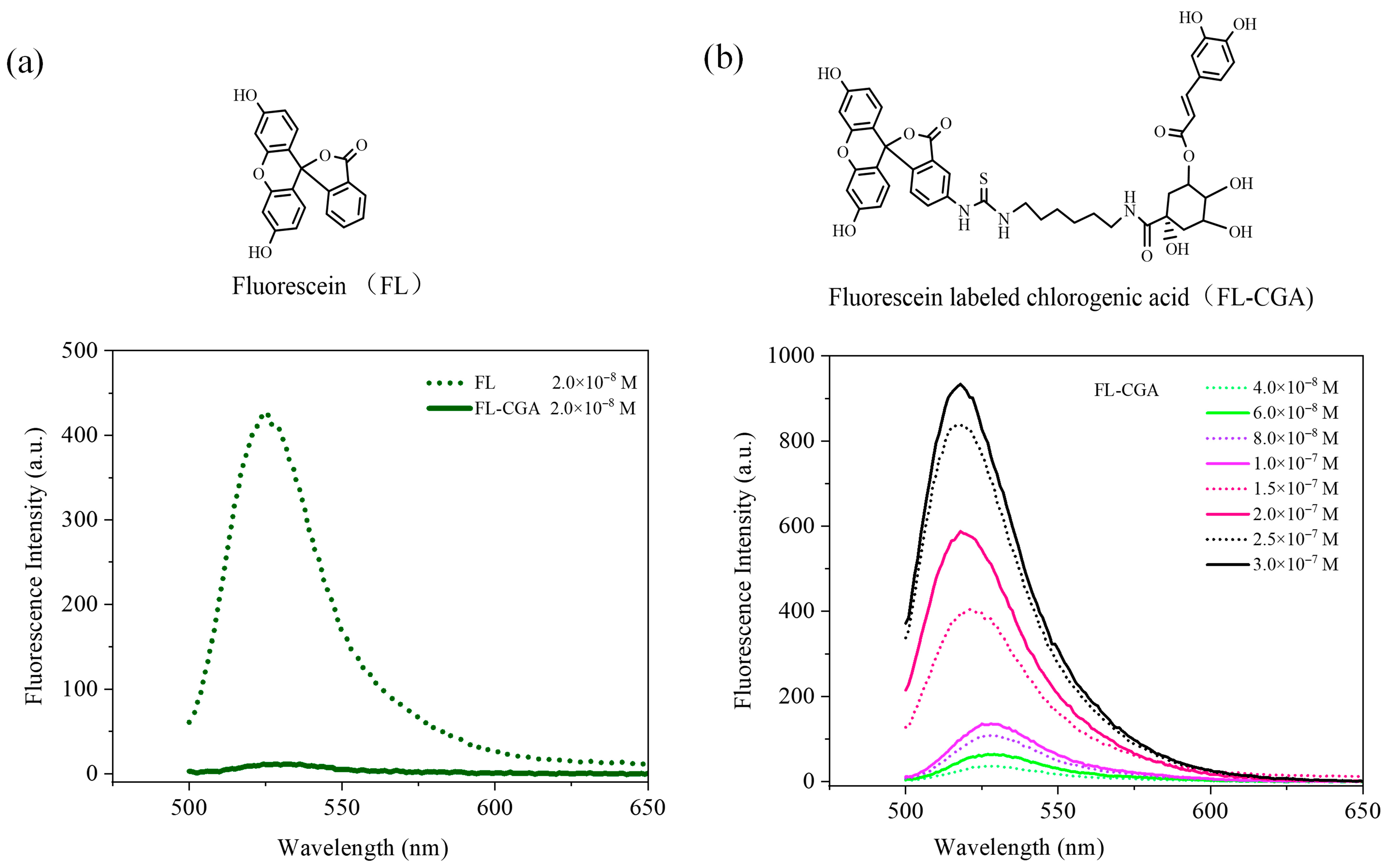 Antioxidant Activity of Chlorogenic Acid Evaluated via EPR Spectroscopy ...