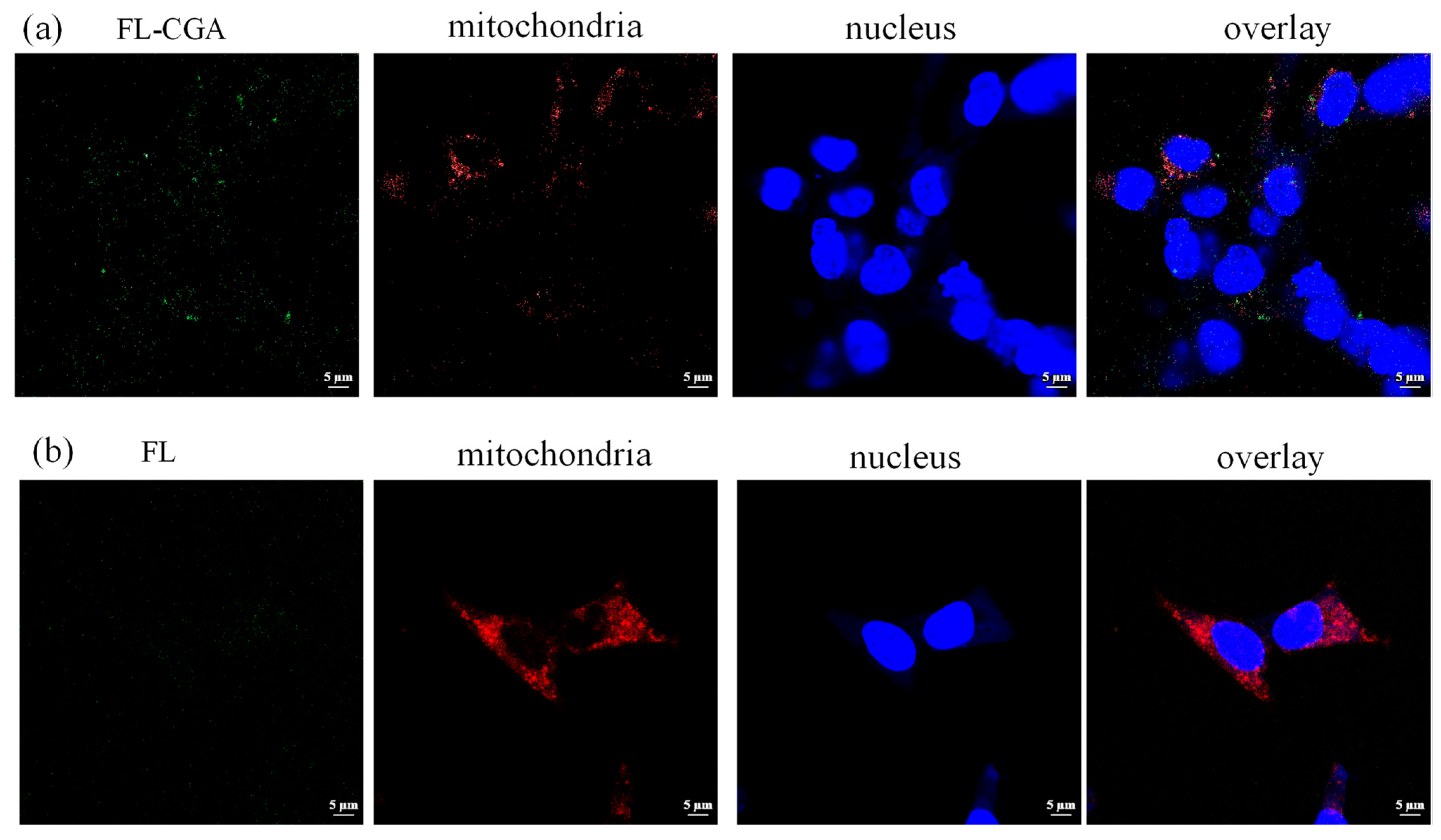 Antioxidant Activity of Chlorogenic Acid Evaluated via EPR Spectroscopy ...
