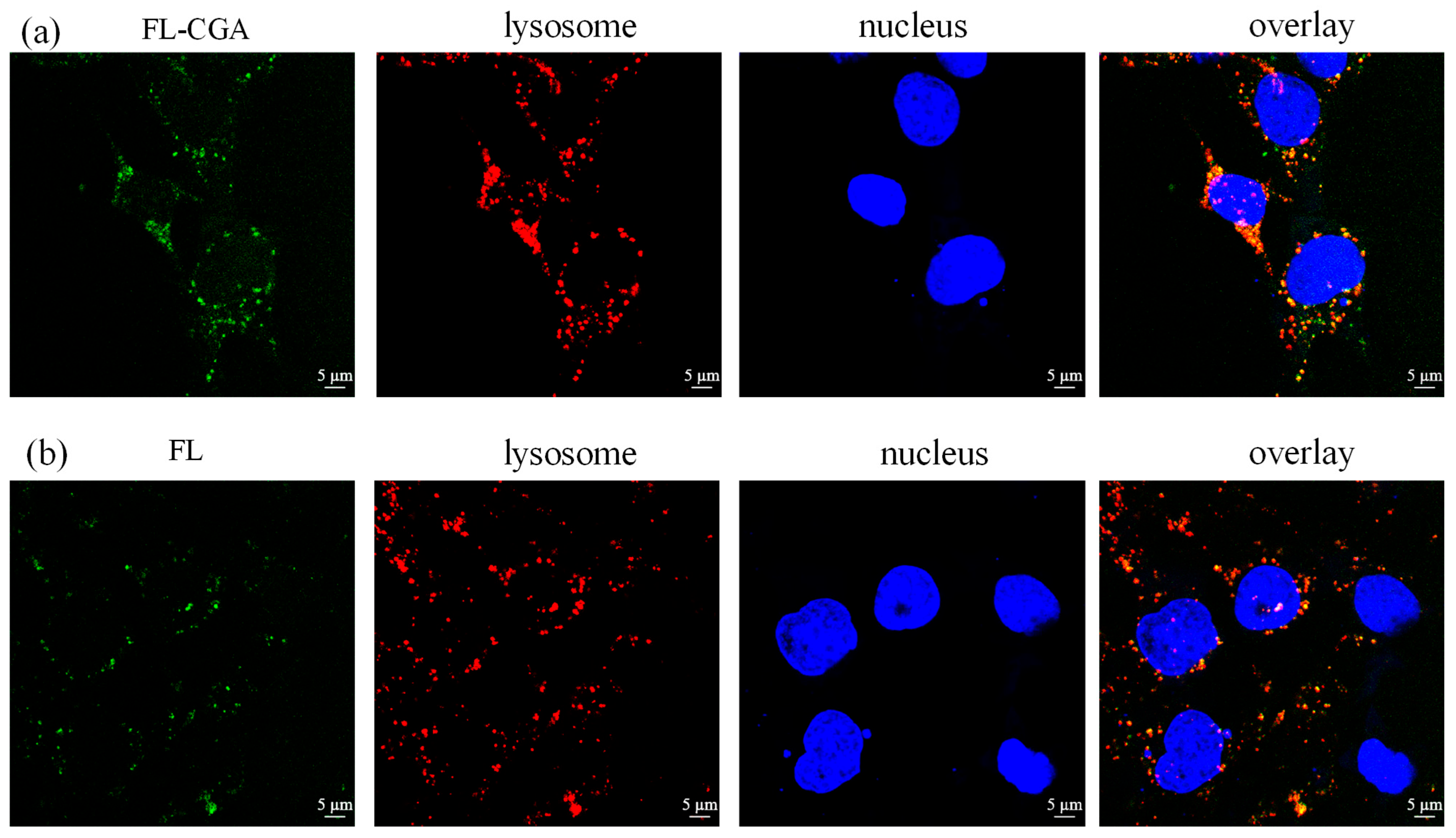 Antioxidant Activity of Chlorogenic Acid Evaluated via EPR Spectroscopy ...