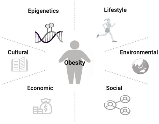 Murine Models of Obesity