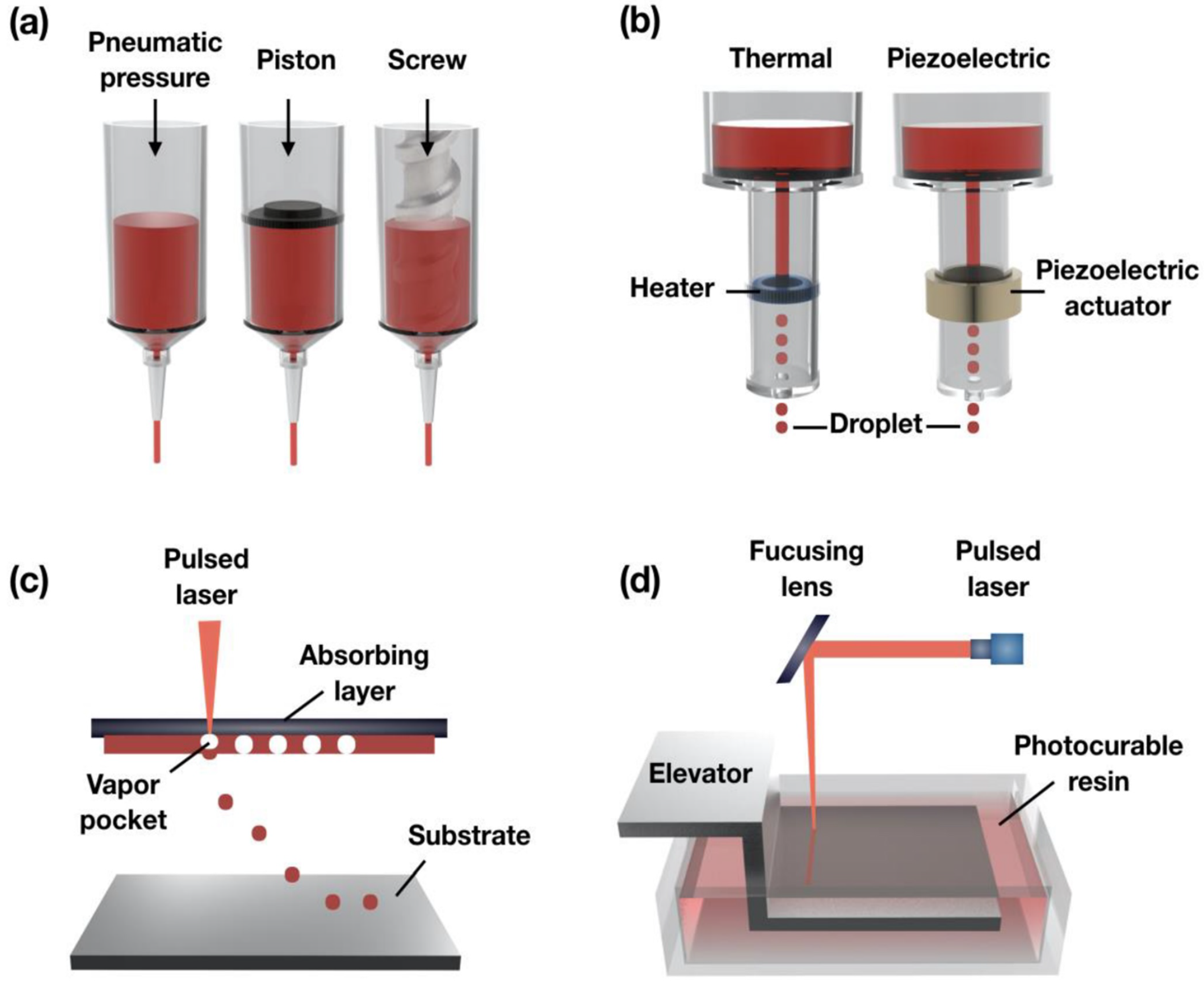 Integrating 3D Bioprinting with Organoid Technology-Based Breast Cancer ...