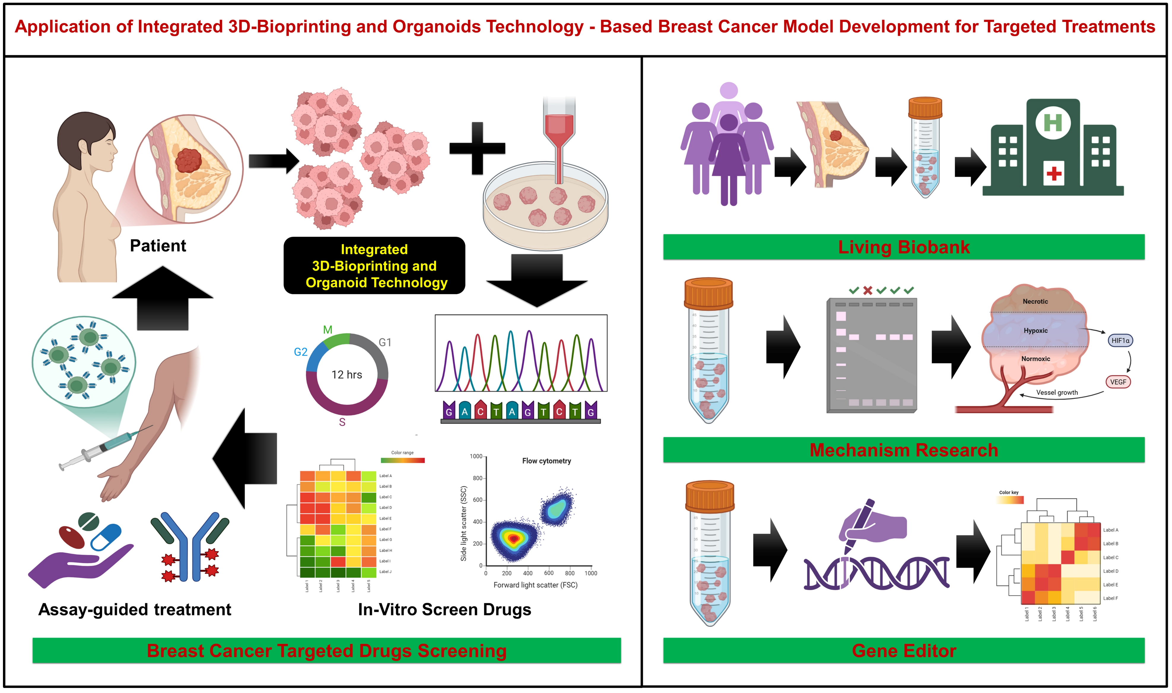 Integrating 3D Bioprinting with Organoid Technology-Based Breast Cancer ...