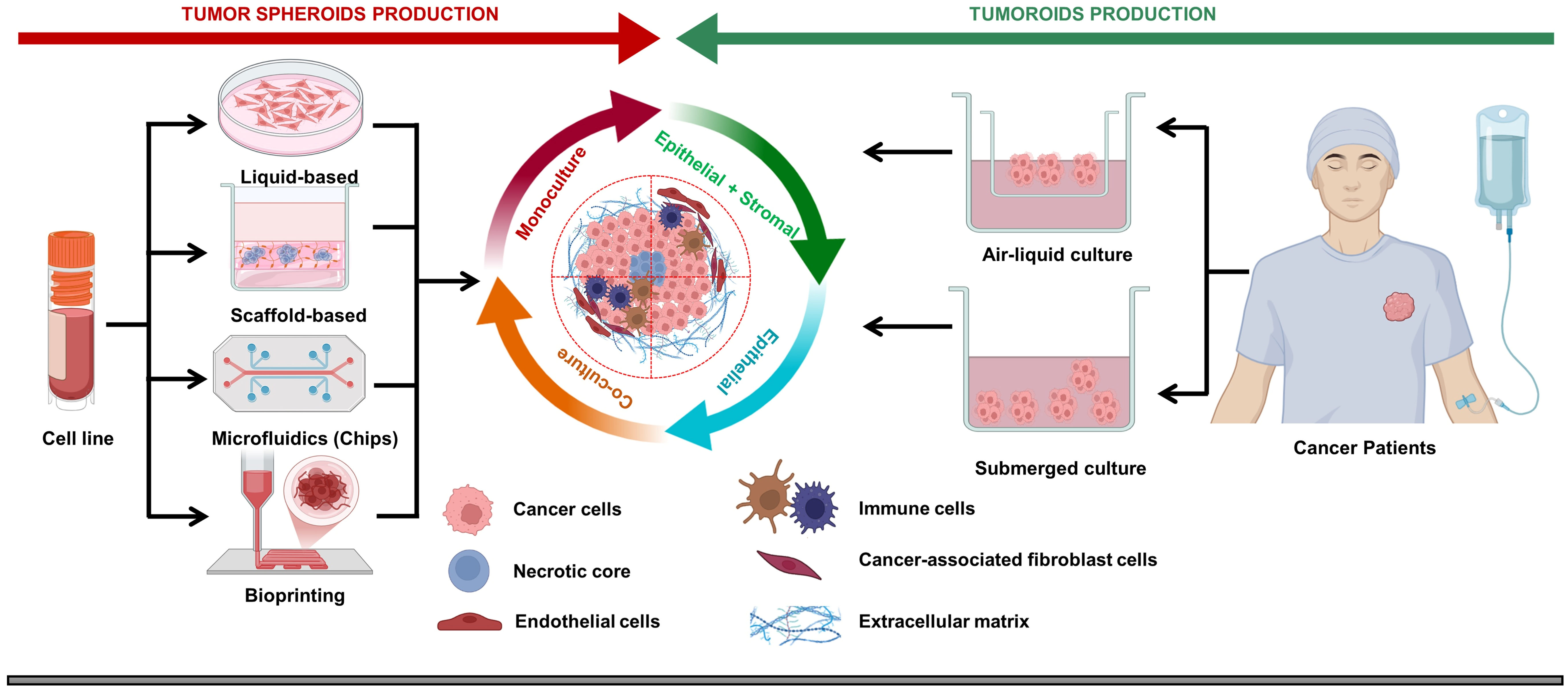 Integrating 3D Bioprinting with Organoid Technology-Based Breast Cancer ...