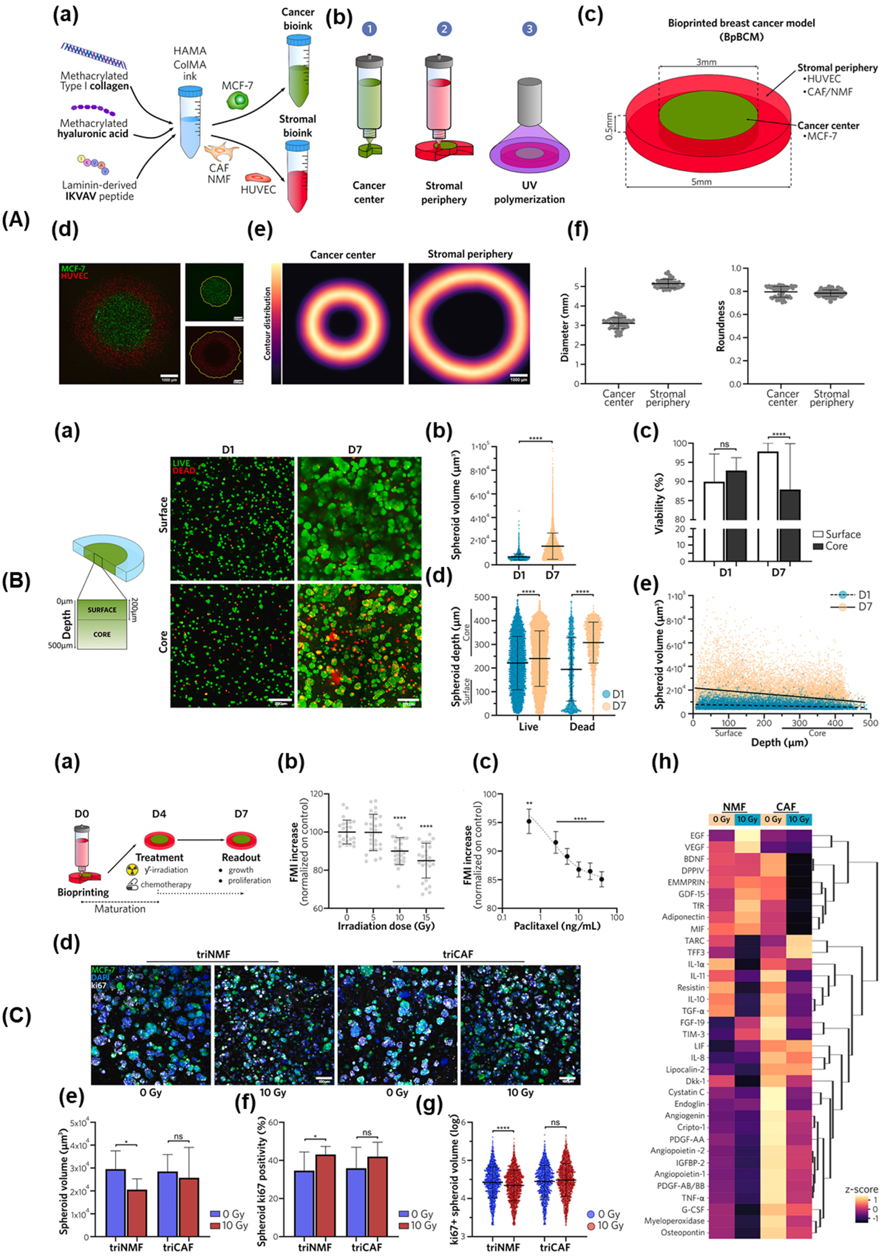 Integrating 3D Bioprinting with Organoid Technology-Based Breast Cancer ...