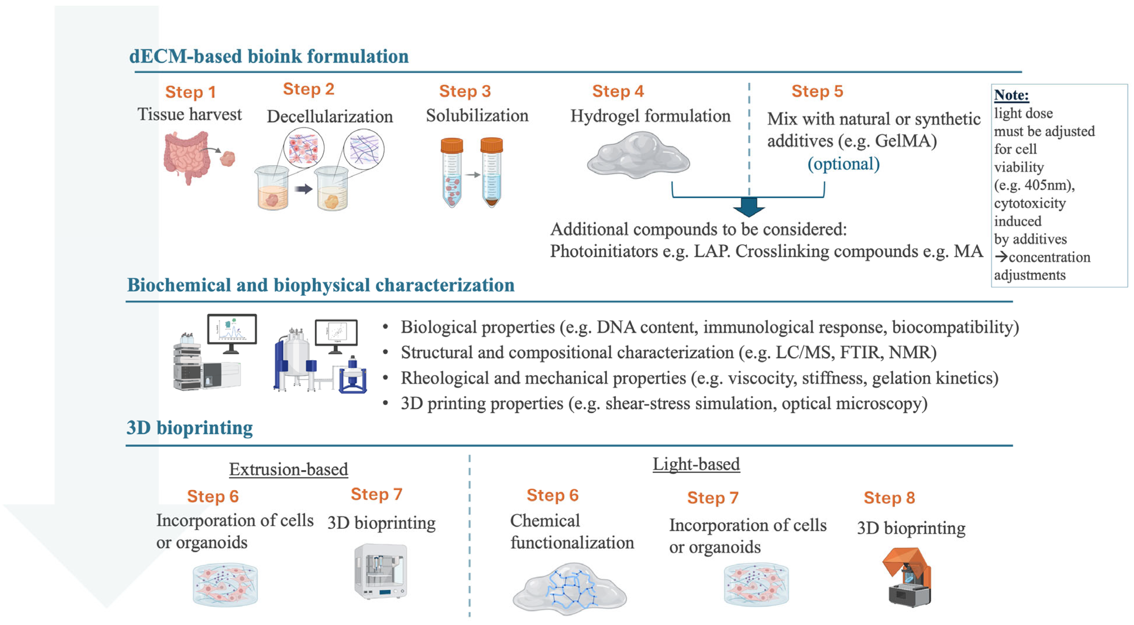 Decellularized Extracellular Matrix for Organoids Development and 3D ...