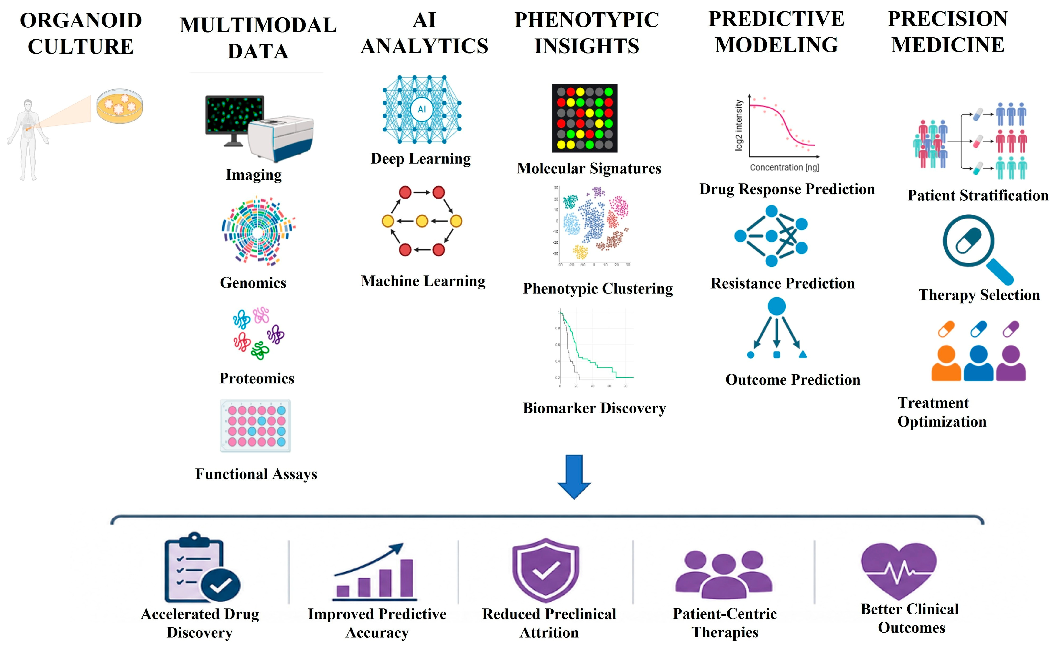 Artificial Intelligence–Enabled Organoid Platforms for Precision ...