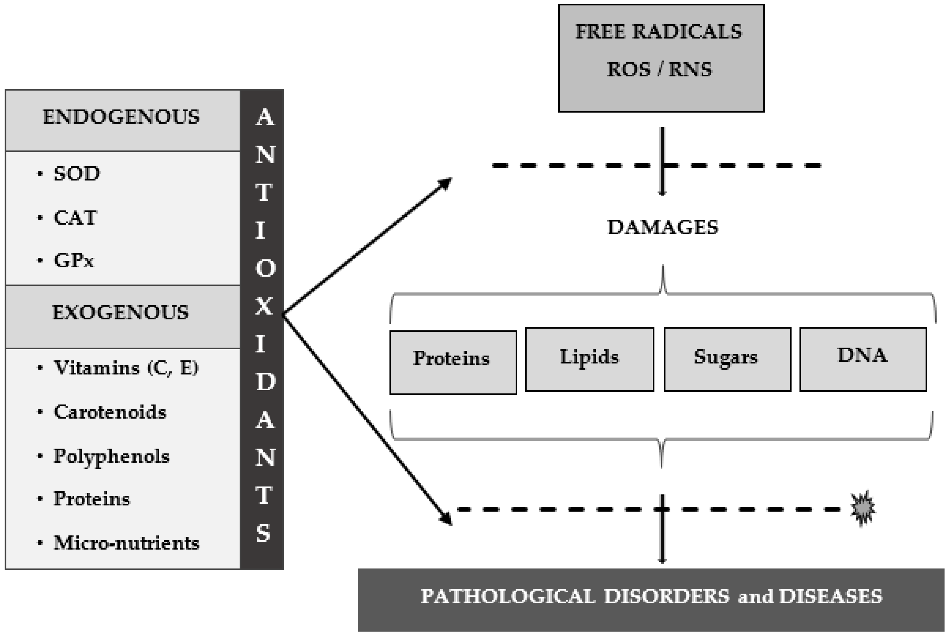 Oxygen Free Full Text Free Radical Properties Source And Targets Oxygen Free Full Text Free Radical Properties Source And Targets