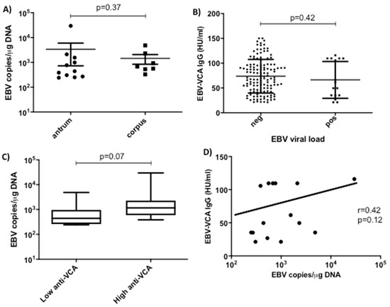 Detection of Epstein-Barr Virus DNA in Gastric Biopsies of Pediatric ...
