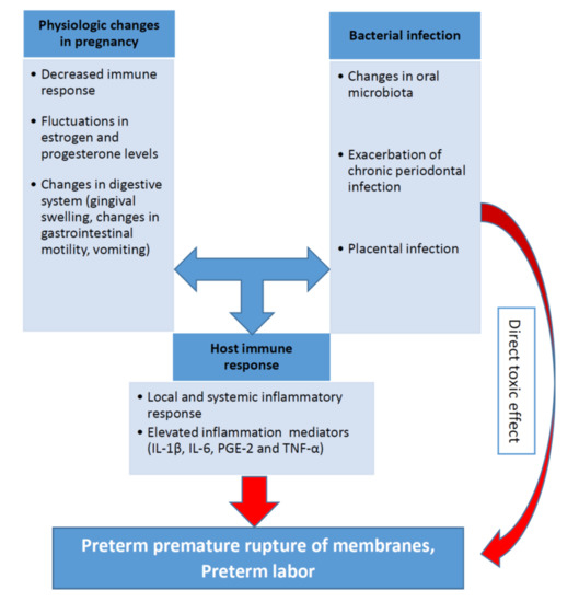 Periodontal Pathogens and Preterm Birth: Current Knowledge and Further ...